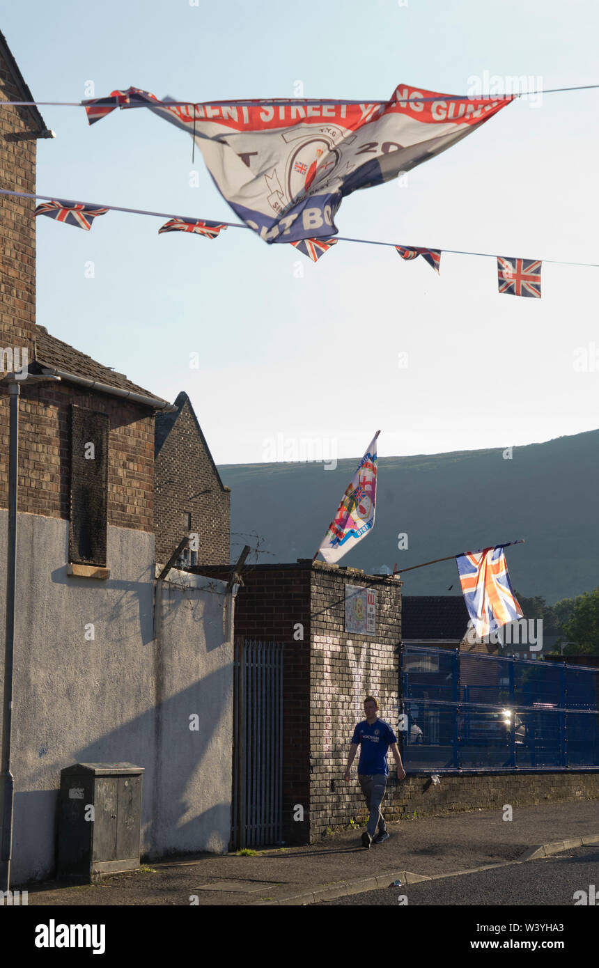 Loyalist flags and Tennent Street Young Guns gang banners in the ...