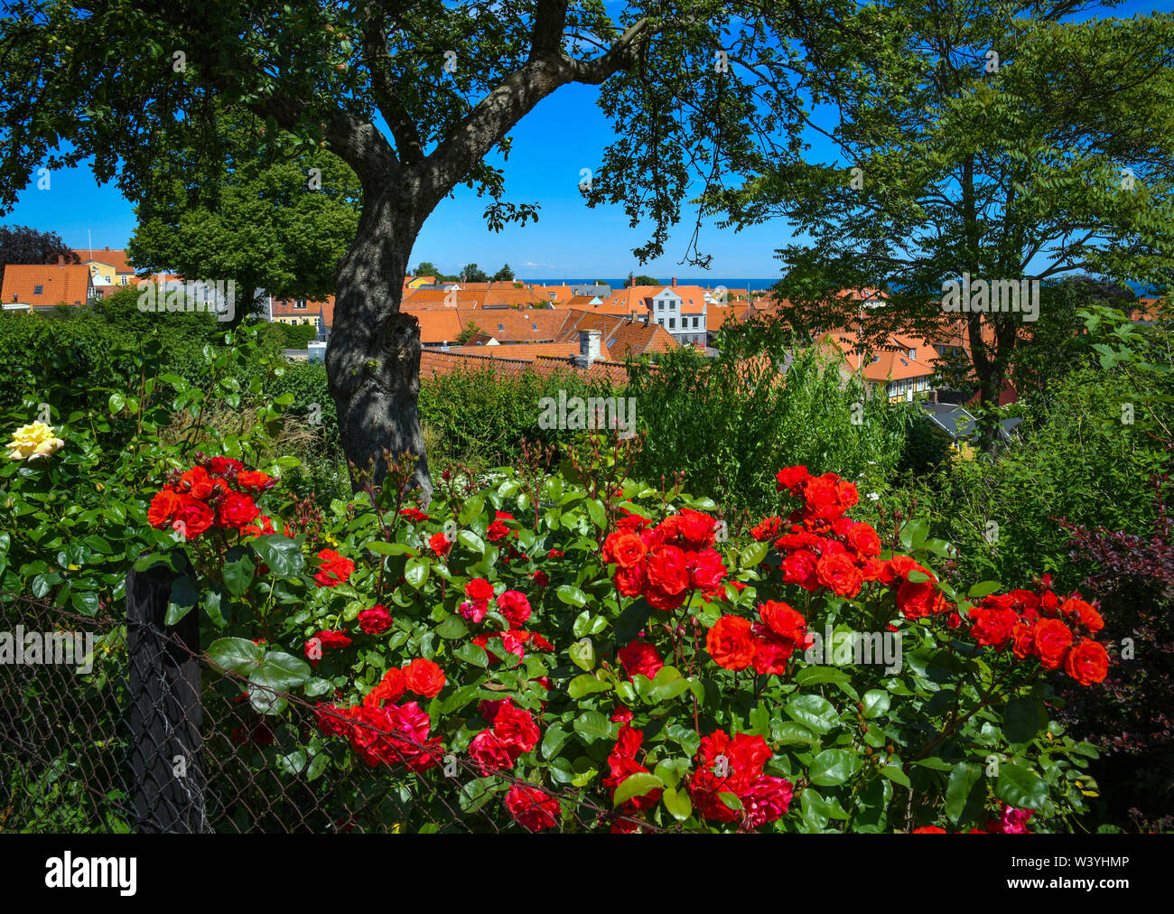 Old town svaneke bornholm island hi-res stock photography and images ...