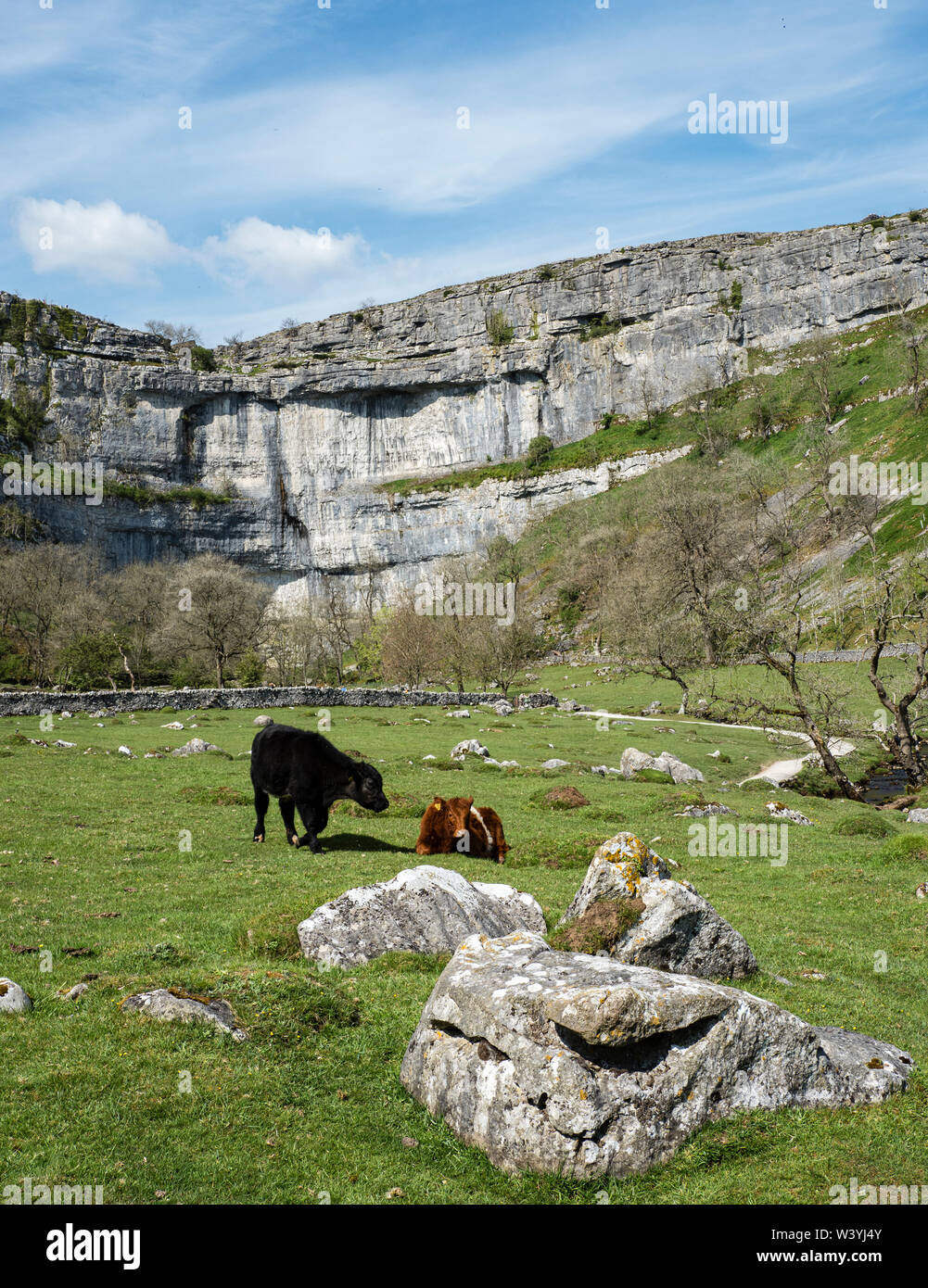 Vertical picture of malham cove hi-res stock photography and images - Alamy