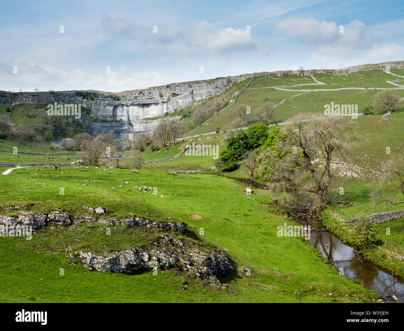 A view of Malham Cove. Yorkshire Dales National Park. UK Stock Photo ...