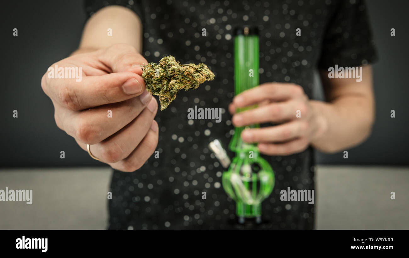 The young person hold in his hand medical marijuana buds and bong ...