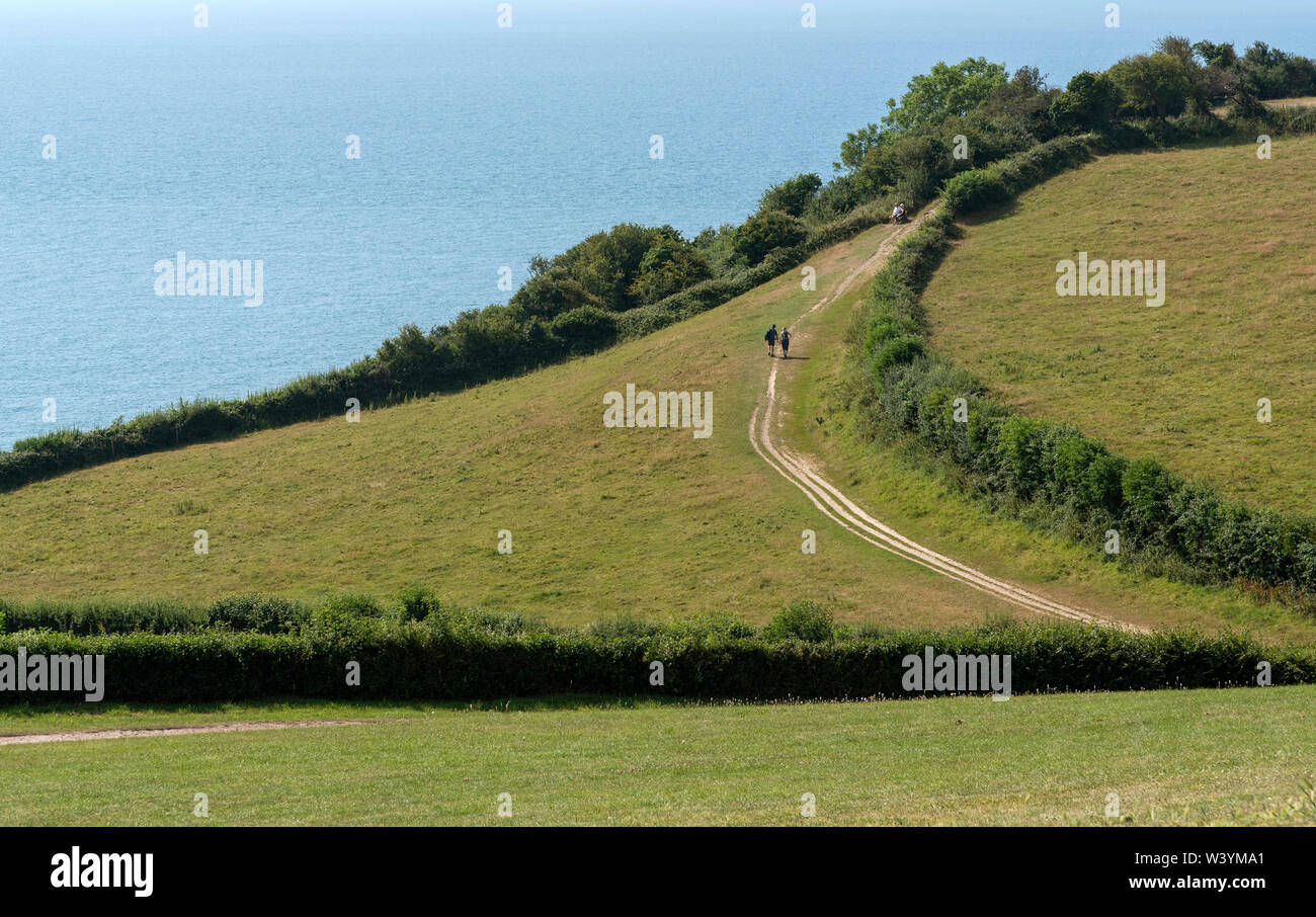 Beer west country hi-res stock photography and images - Alamy