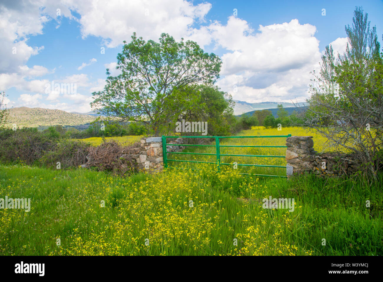 Spring landscape. Sierra del Rincon, Madrid province, Spain Stock Photo ...