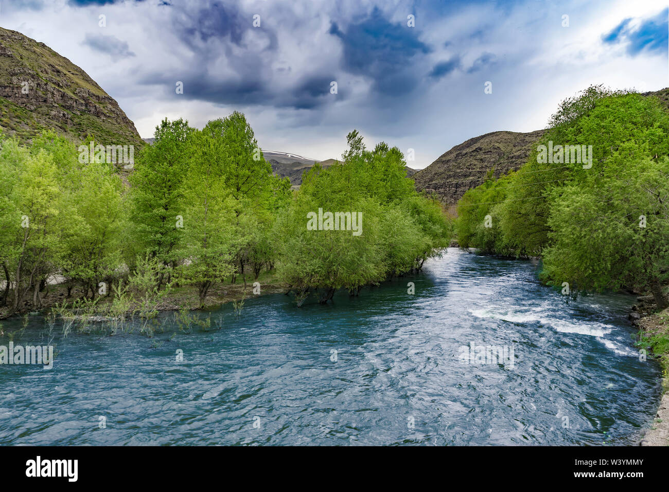 Georgia grove hi-res stock photography and images - Alamy