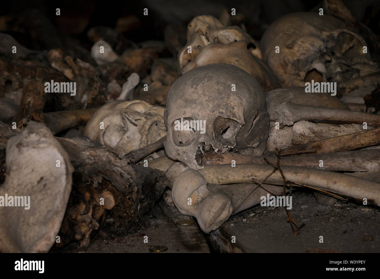 Skulls and bones inside a crypt at the Alanian necropolis dating back ...