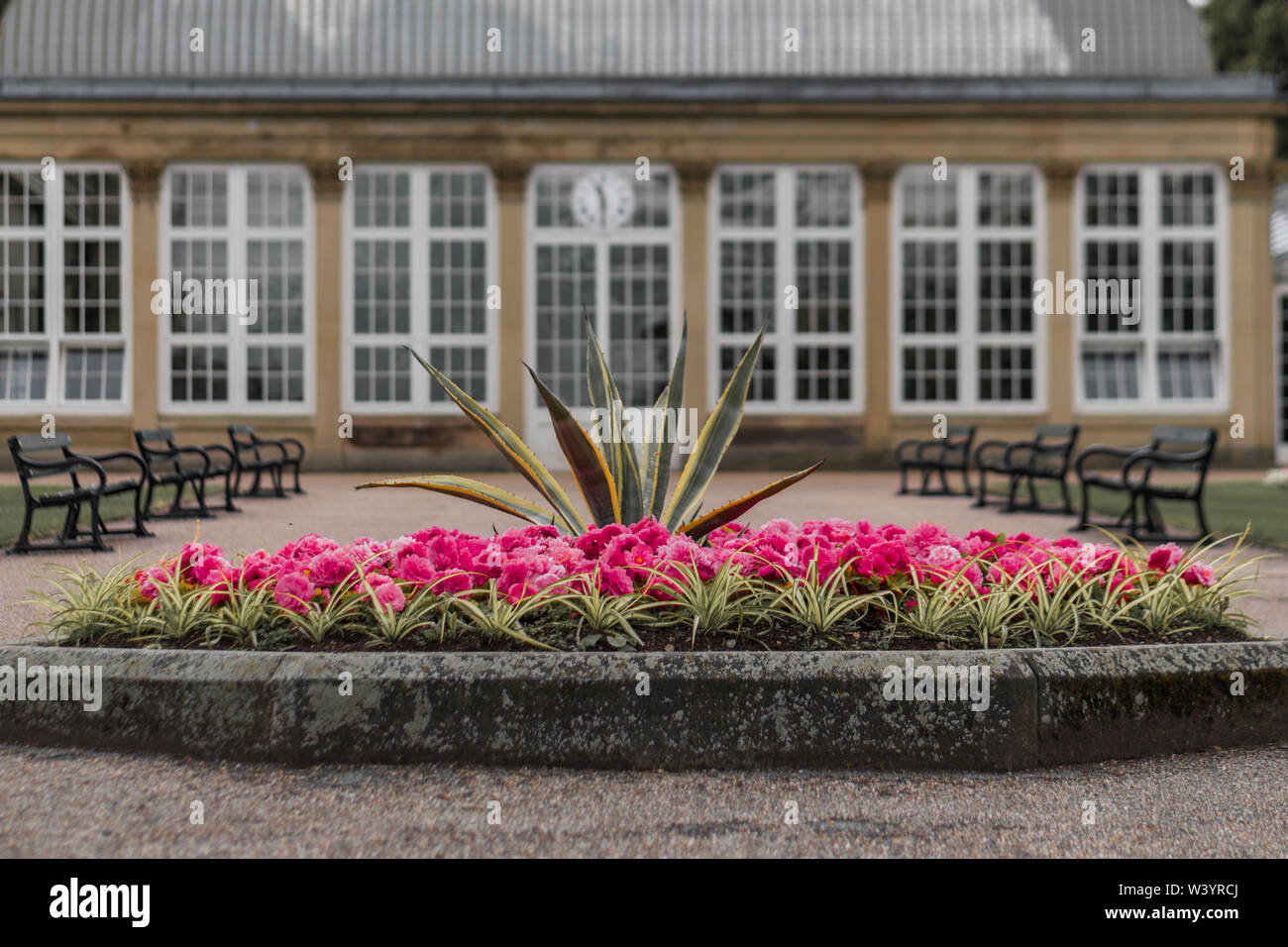 Pink Flowers on display bloom at the Sheffield Botanical Gardens, South ...
