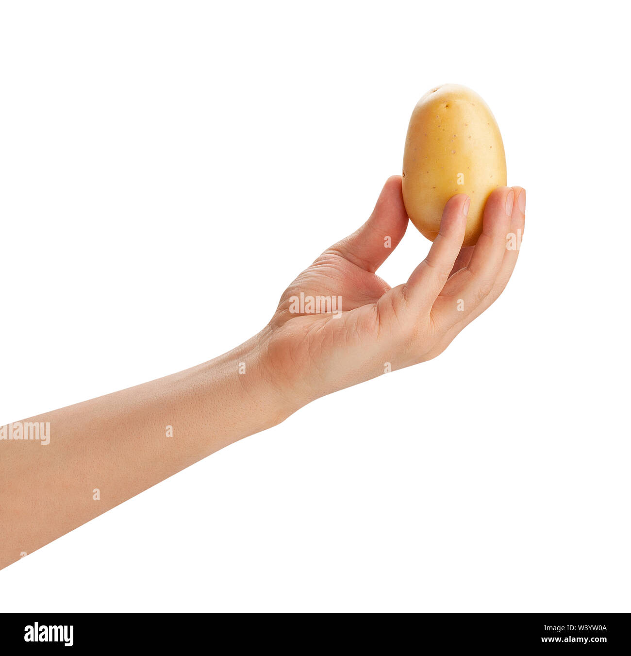 Hand one potato hi-res stock photography and images - Alamy