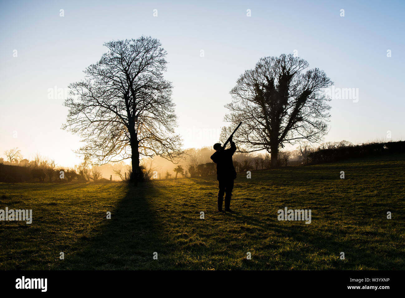 Lone man with shotgun, winter sunset, silhouetted trees and long ...
