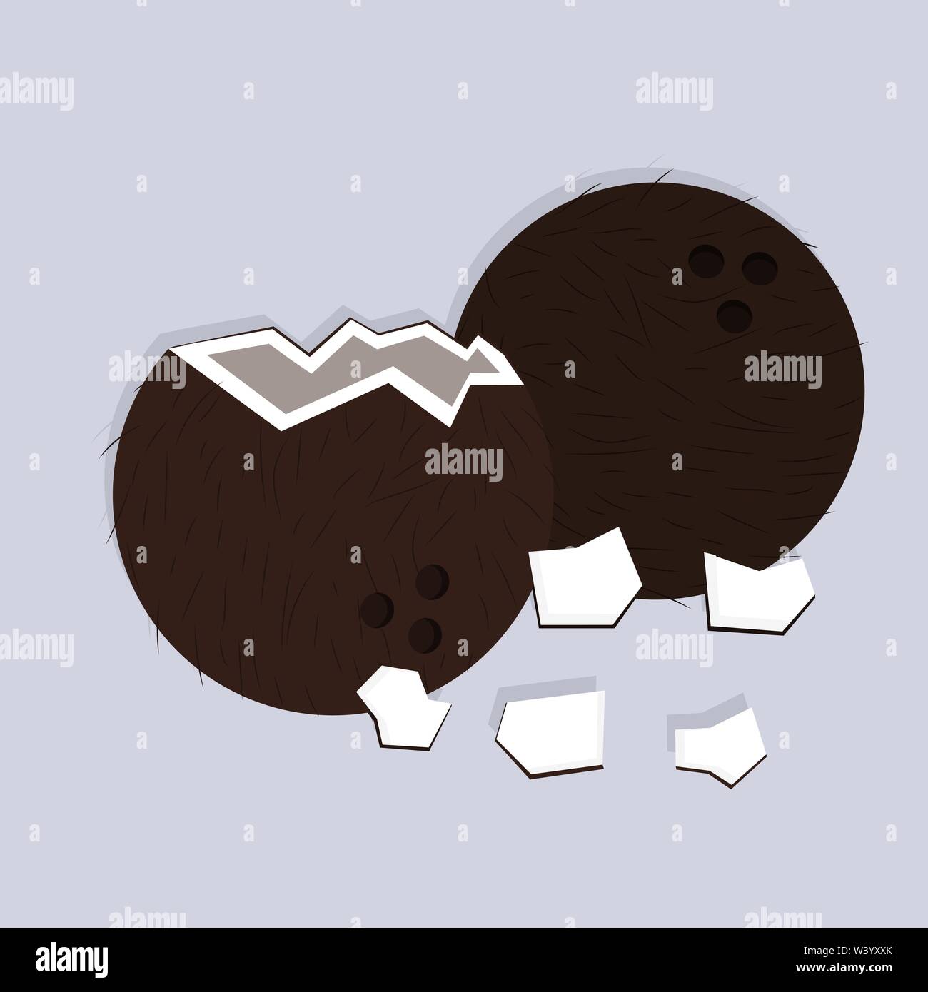 Broken coconut, whole coconut and piece of coconut on grey background ...