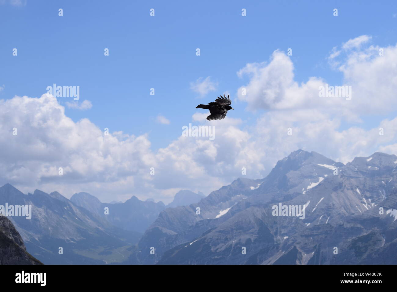 Crow is flying above the Cloud Stock Photo - Alamy