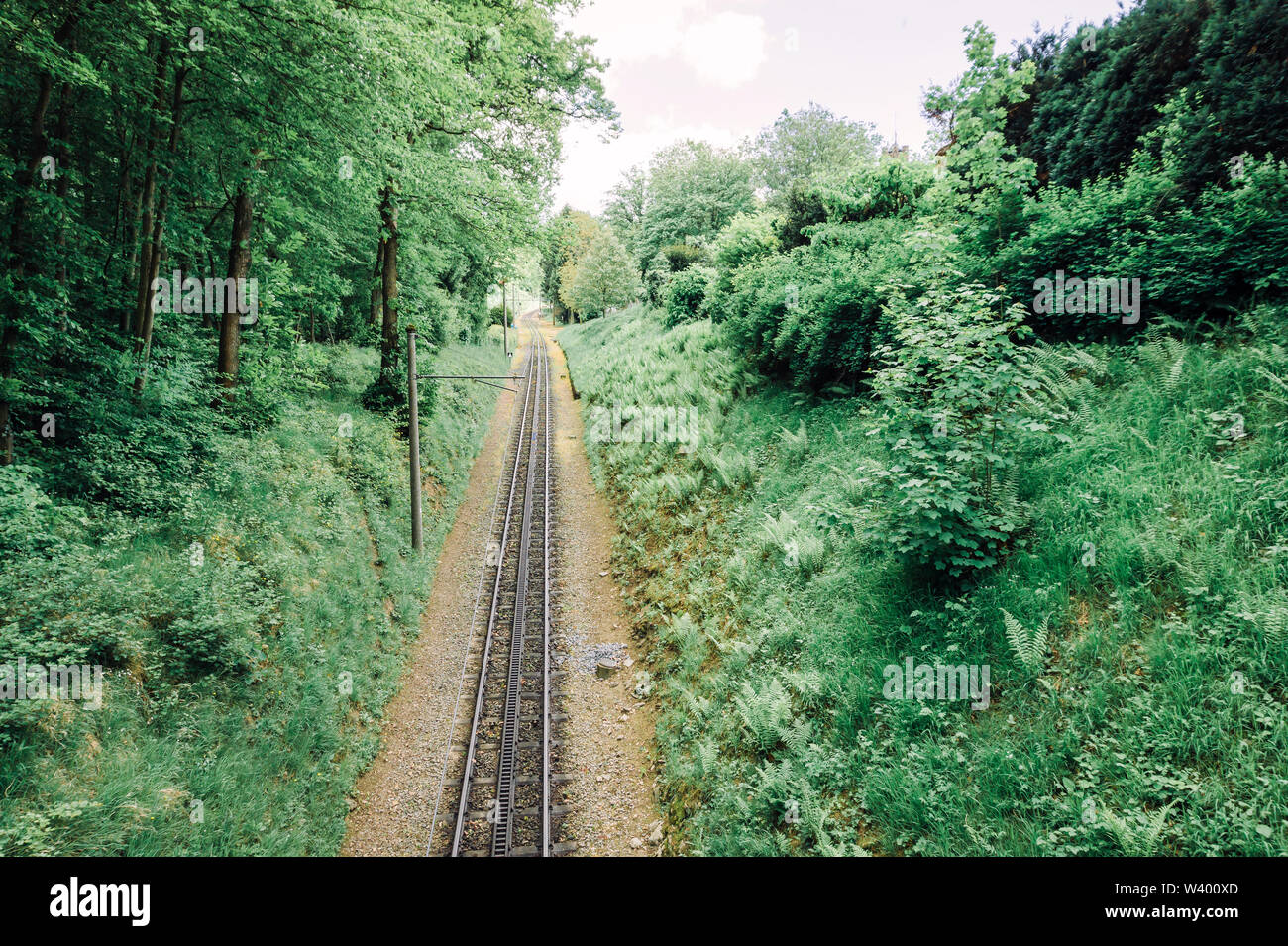 Train on railway transportation in green forest. Transportation concept ...