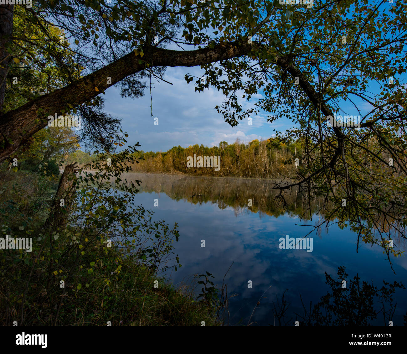 Branch Hanging Over Water High Resolution Stock Photography and Images ...