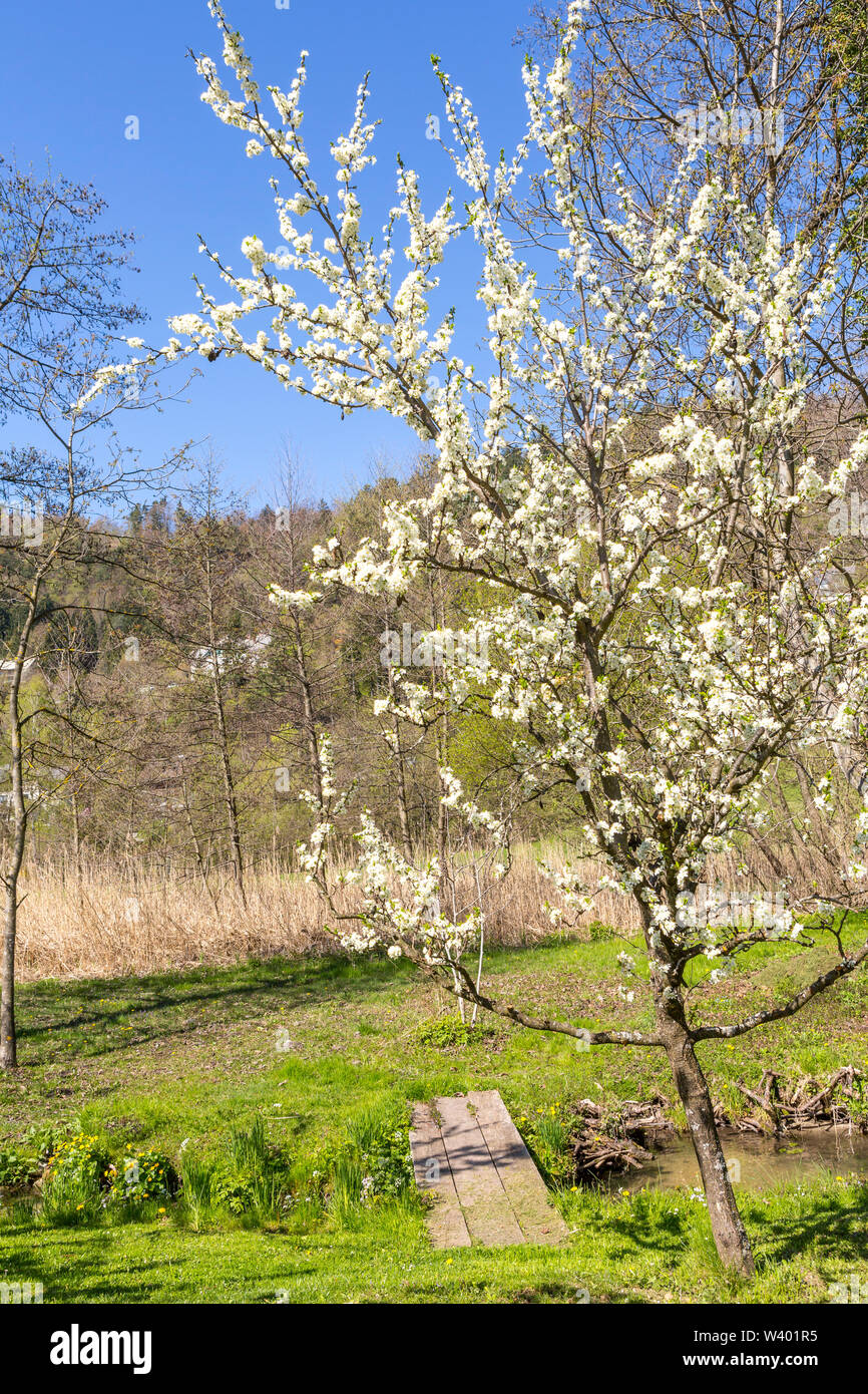 Rural nature scene hi-res stock photography and images - Alamy