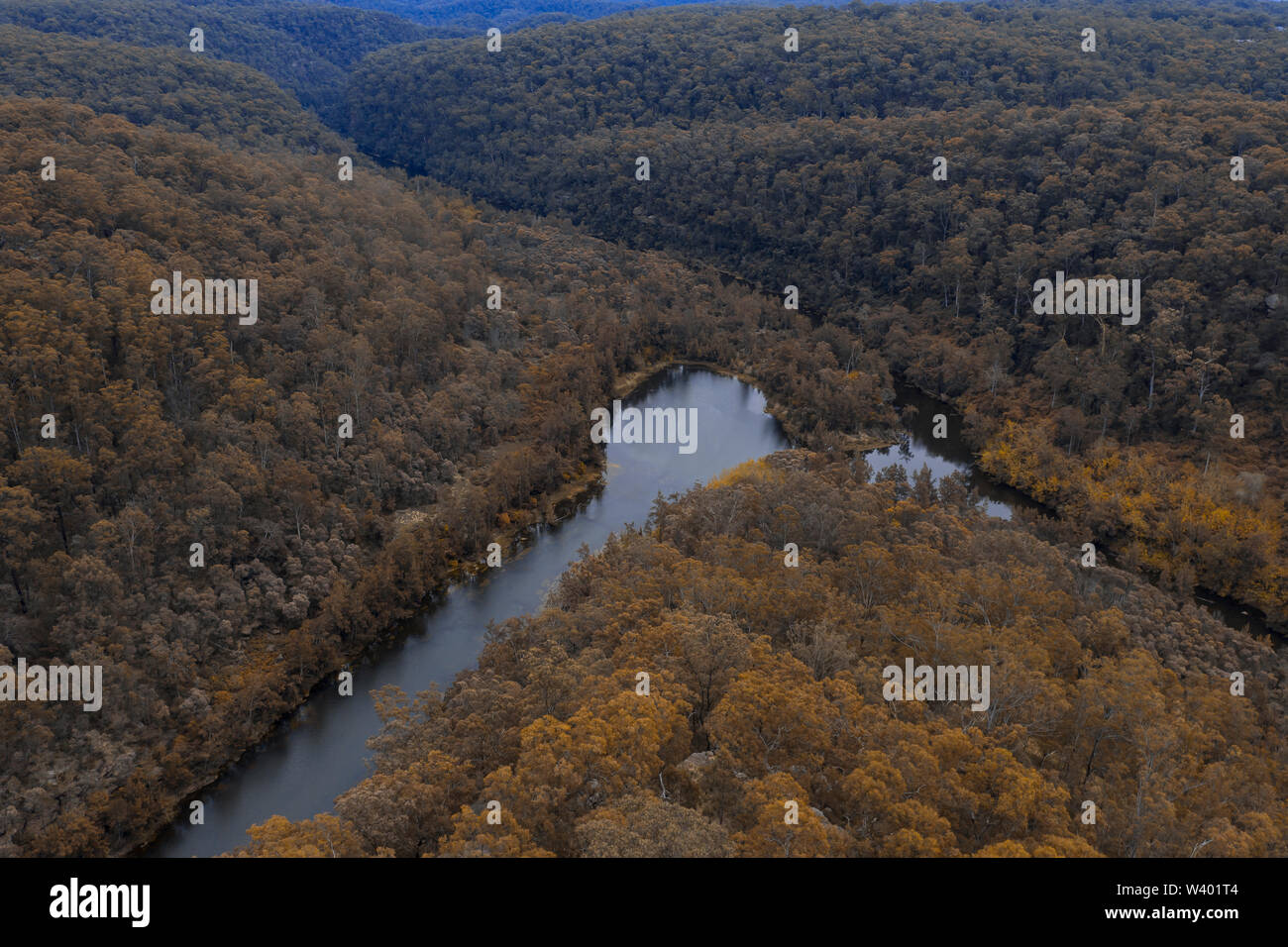 River flowing through native bush hi-res stock photography and images ...