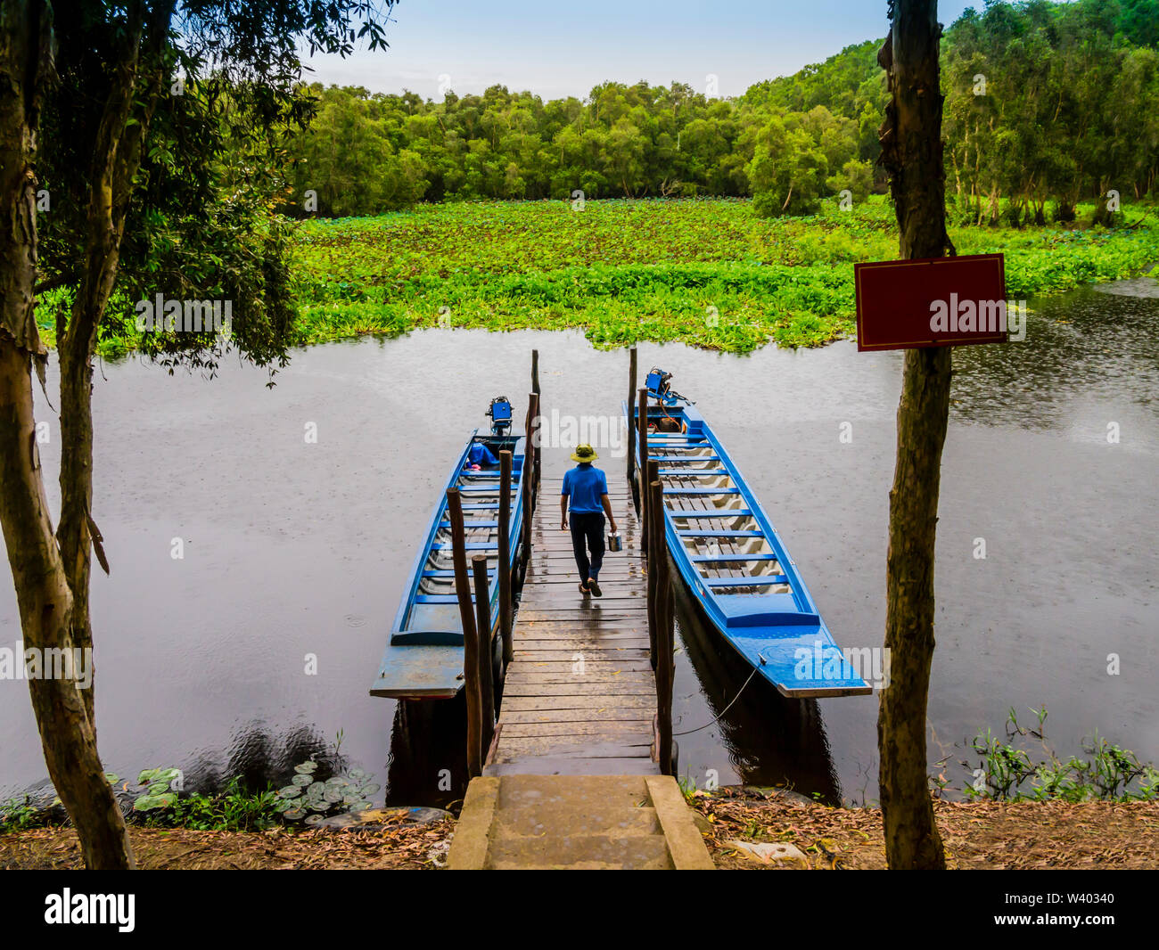 Tra su indigo forest hi-res stock photography and images - Alamy