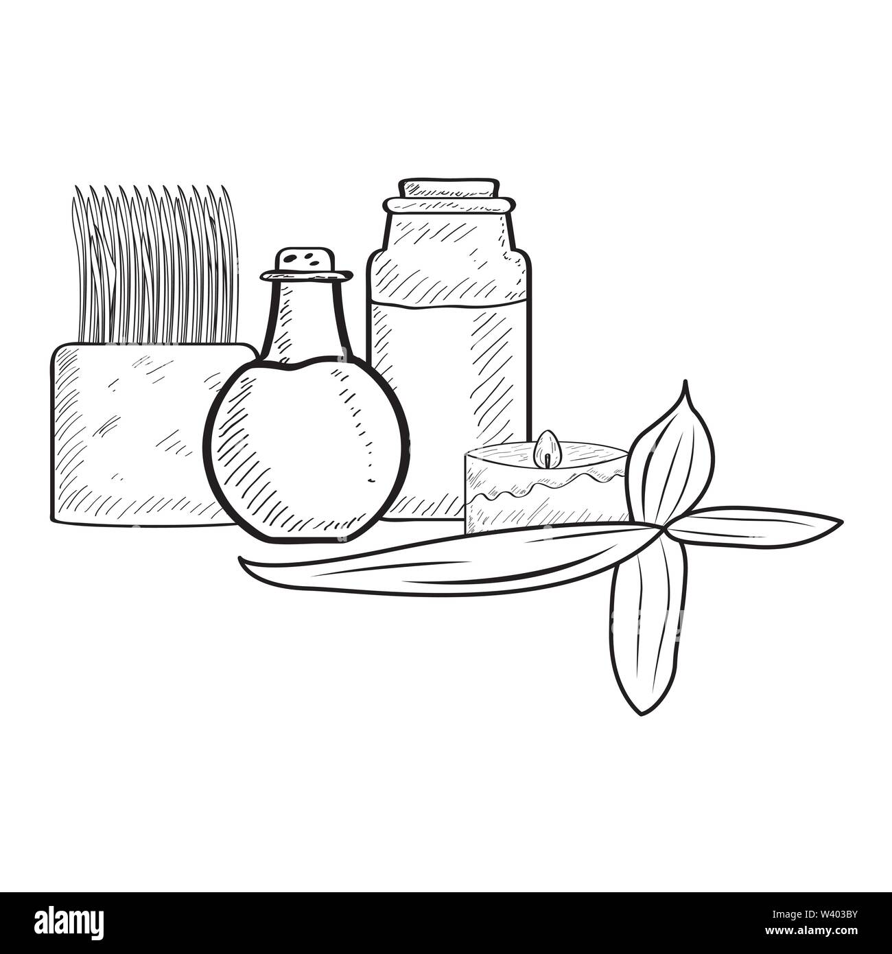 Sketch of spa objects. Essence bottles, leaves and candle - Vector ...
