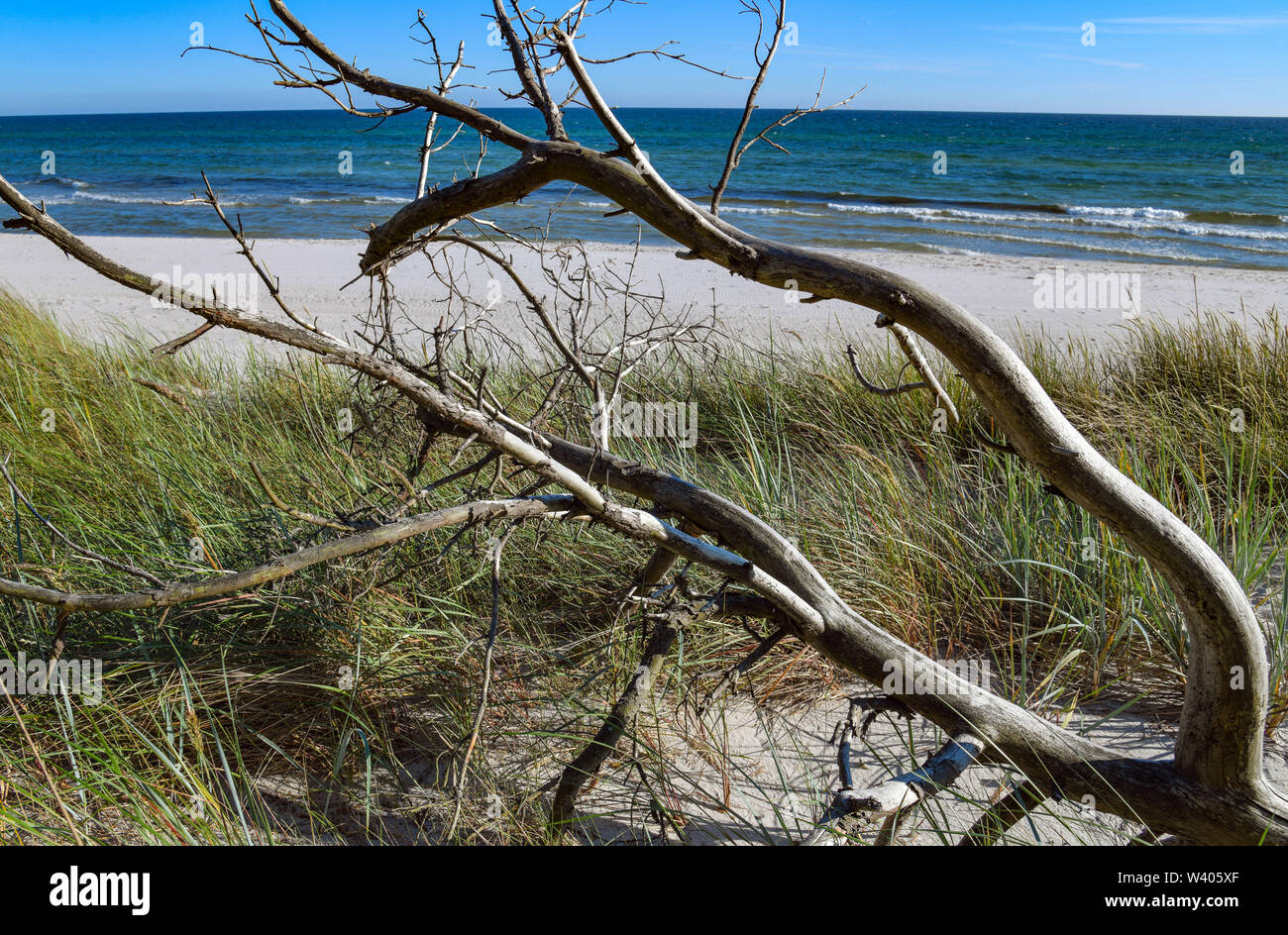 Dueodde, Denmark. 28th June, 2019. The coast at the southeast tip of ...