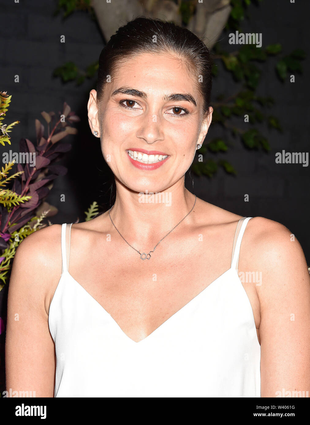 LOS ANGELES, CA - JULY 17: Dr. Crystal Dilworth attends the Brain ...