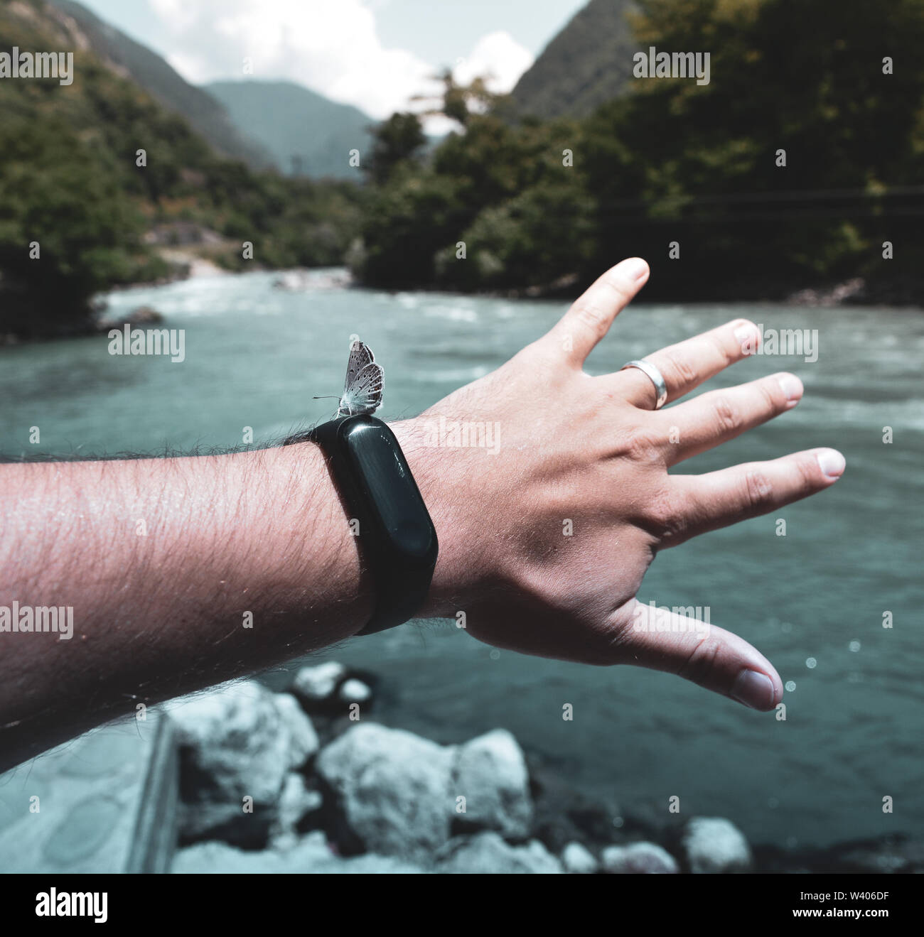 Smart butterfly hi-res stock photography and images - Alamy