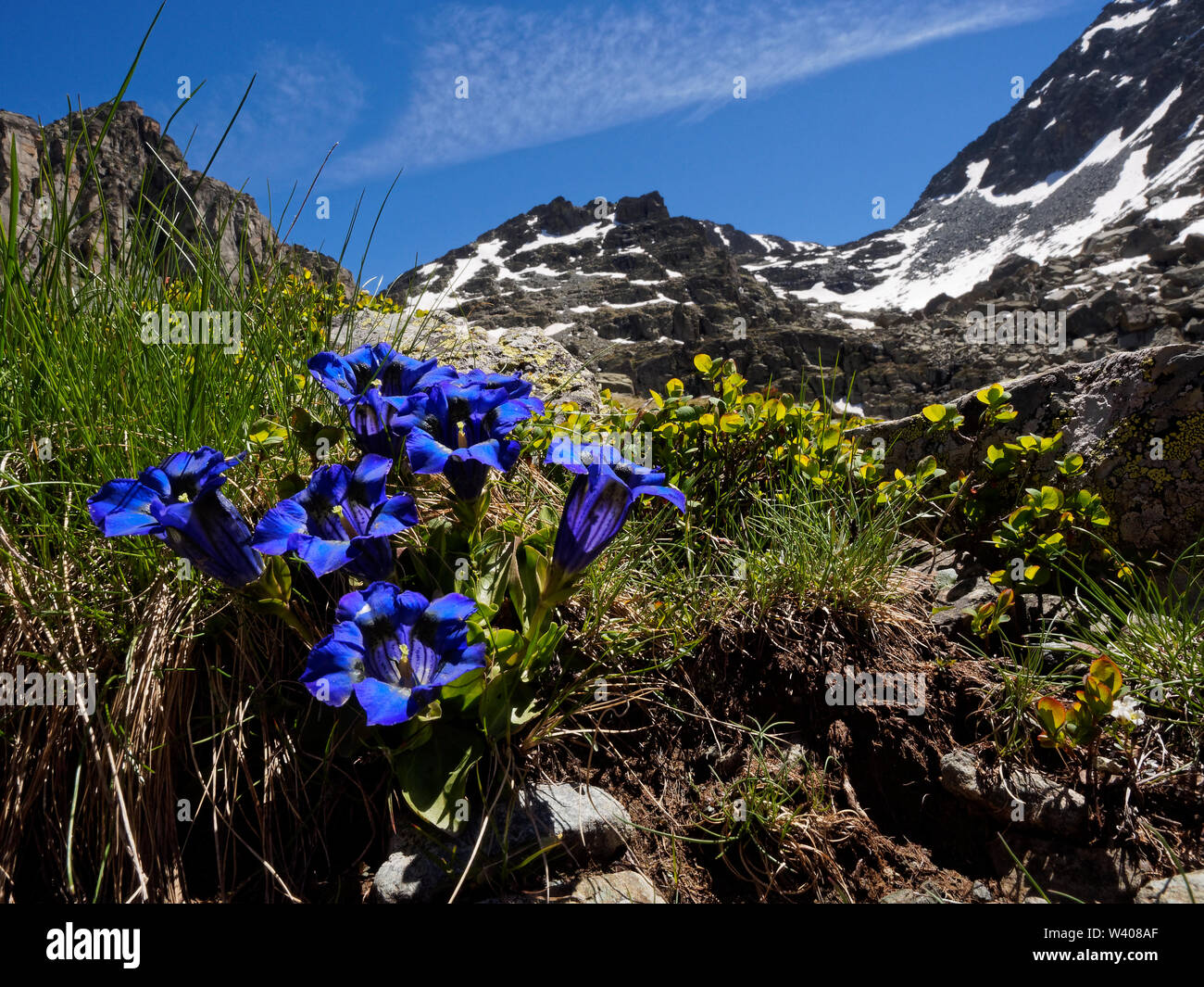 Monviso Piemonte Italy Stock Photo - Alamy