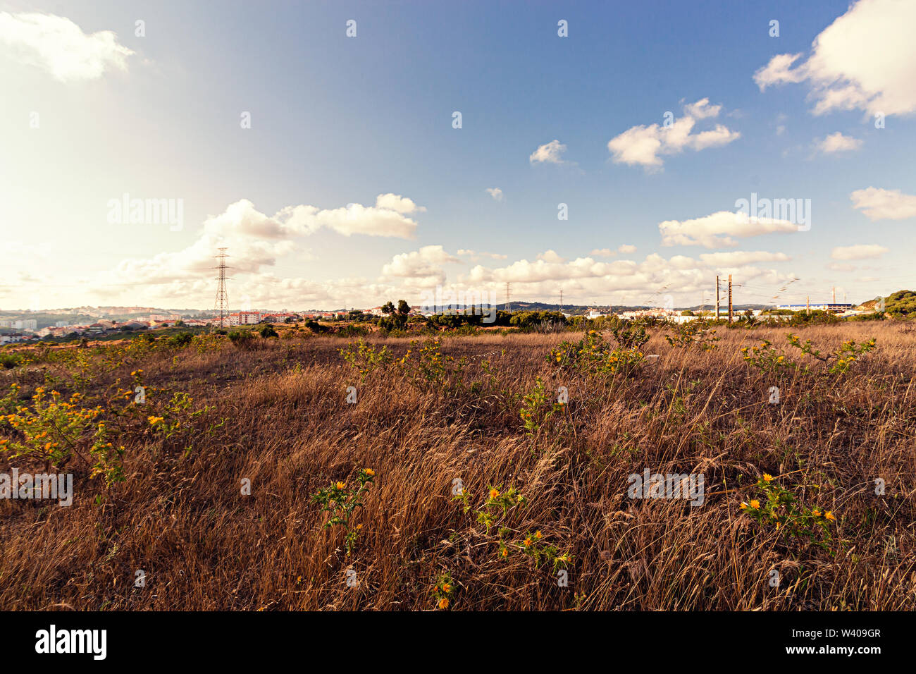 A meadow with blue sky as background, Sintra, Portugal Stock Photo - Alamy