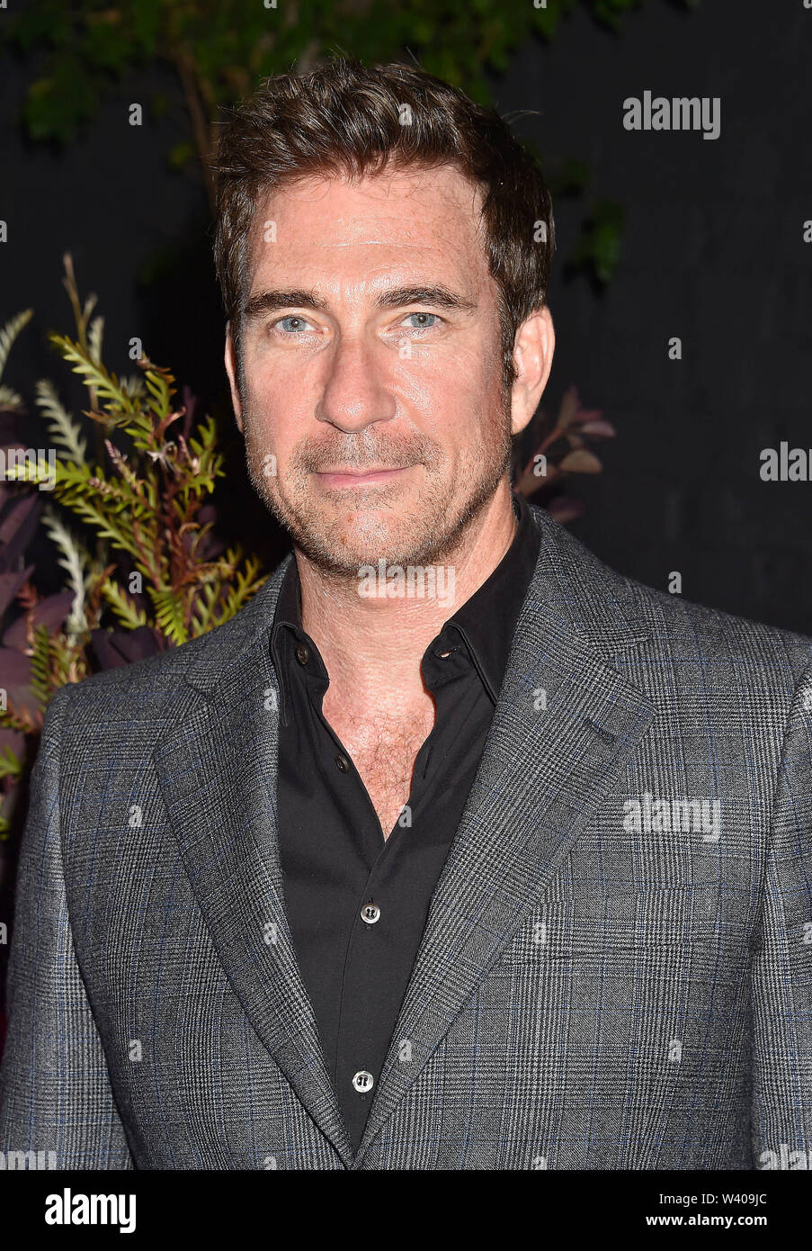 Dylan Mcdermott 1990
