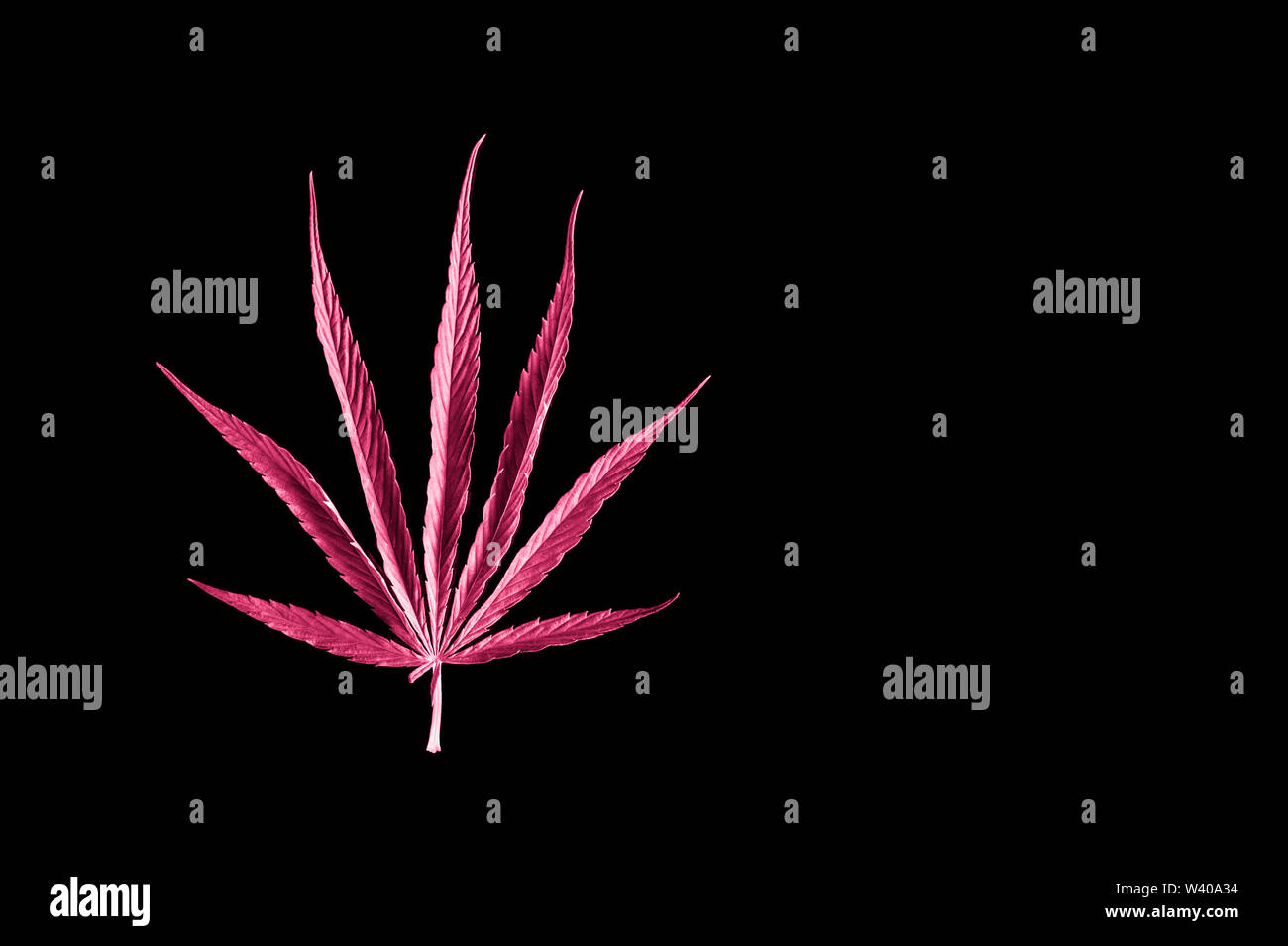 Pink cannabis hi-res stock photography and images - Alamy