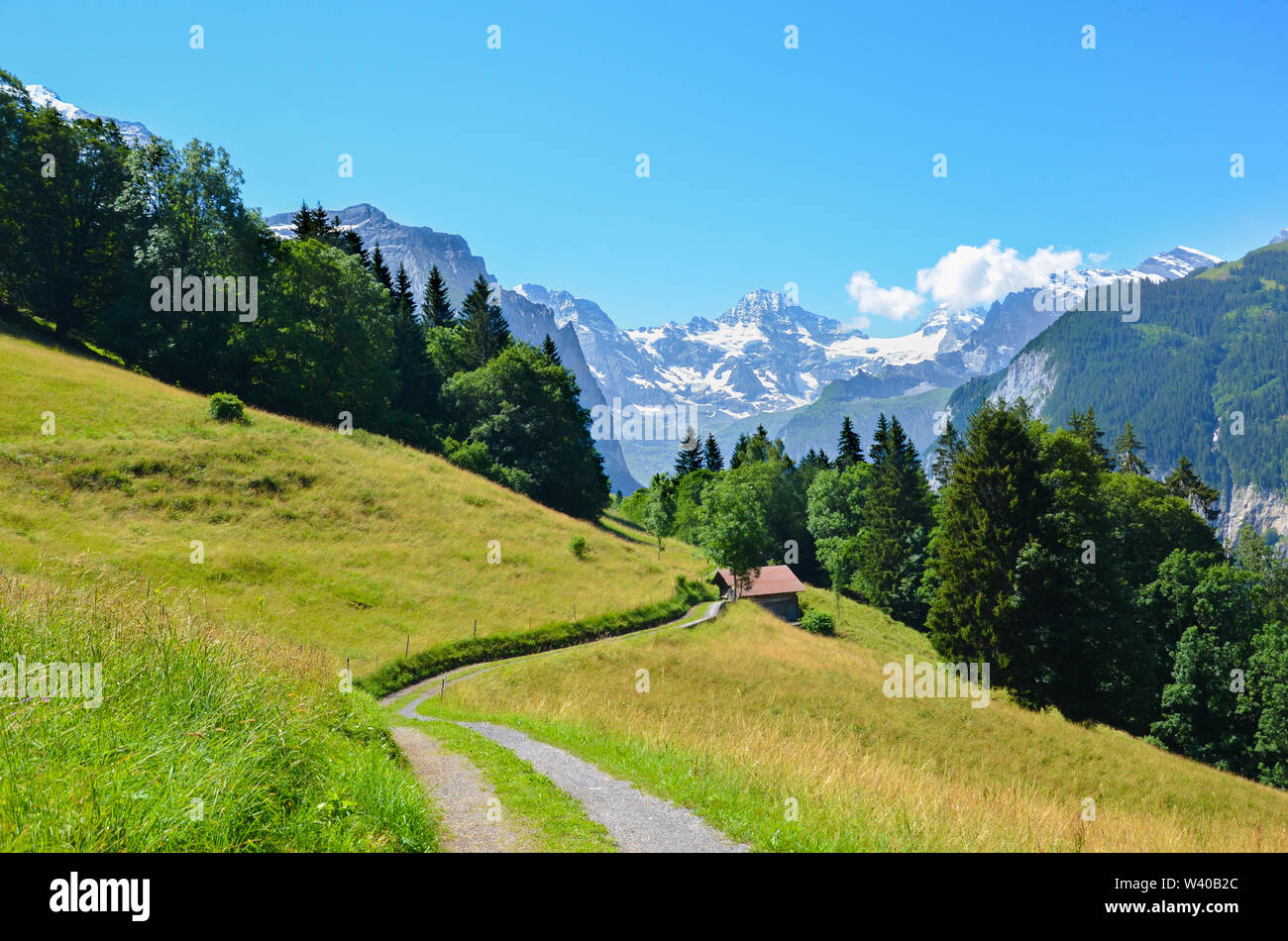 Alpine path in the hills near Lauterbrunnen in Swiss Alps. The way is ...
