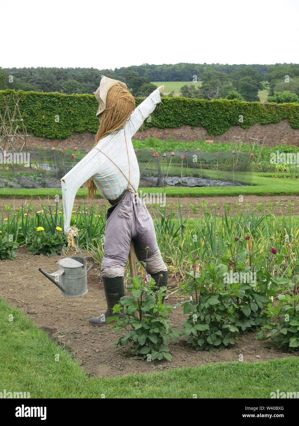 Protecting garden vegetables hi-res stock photography and images - Alamy