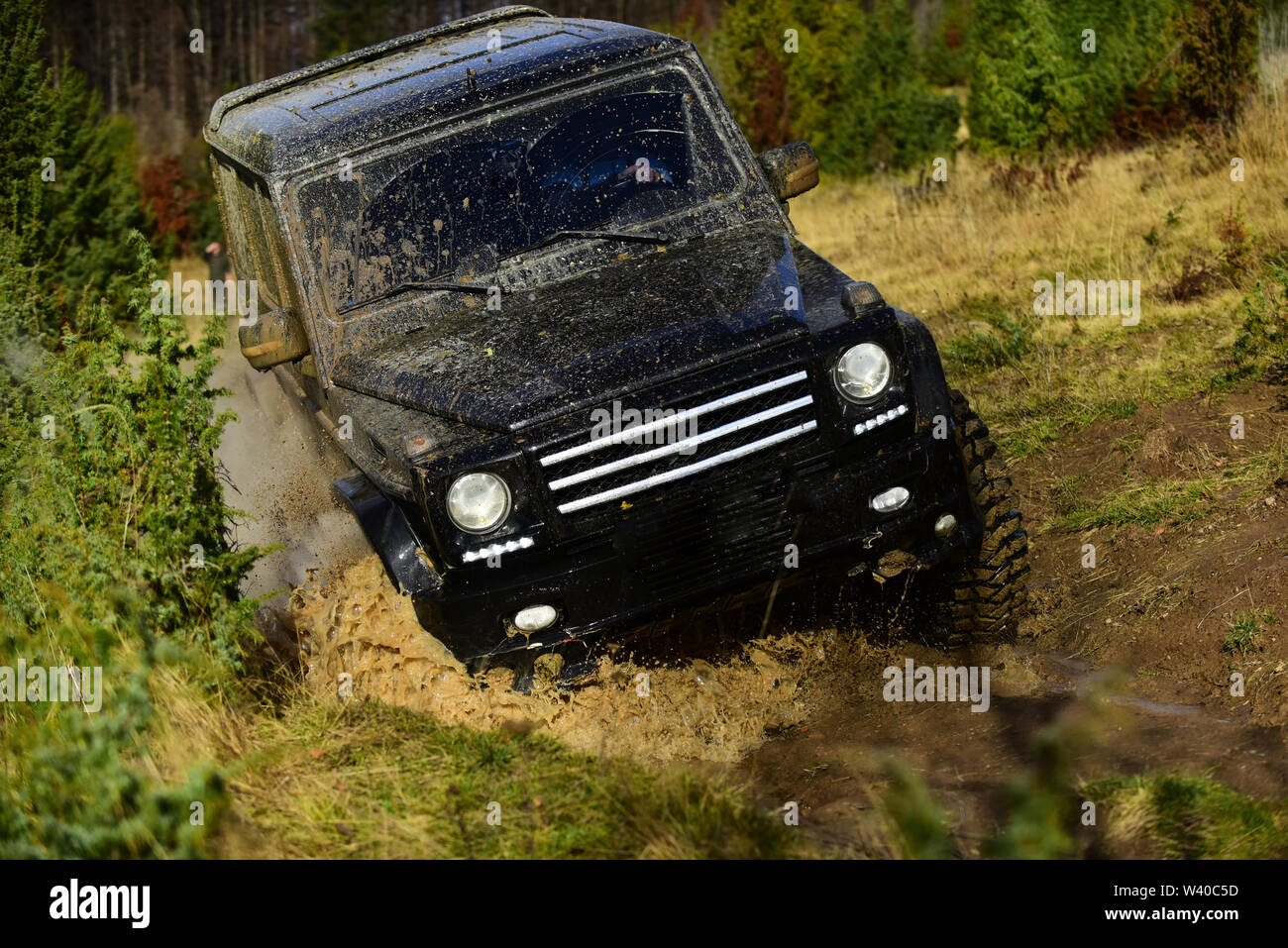 Car racing in autumn forest. Competition, energy and motorsport concept ...