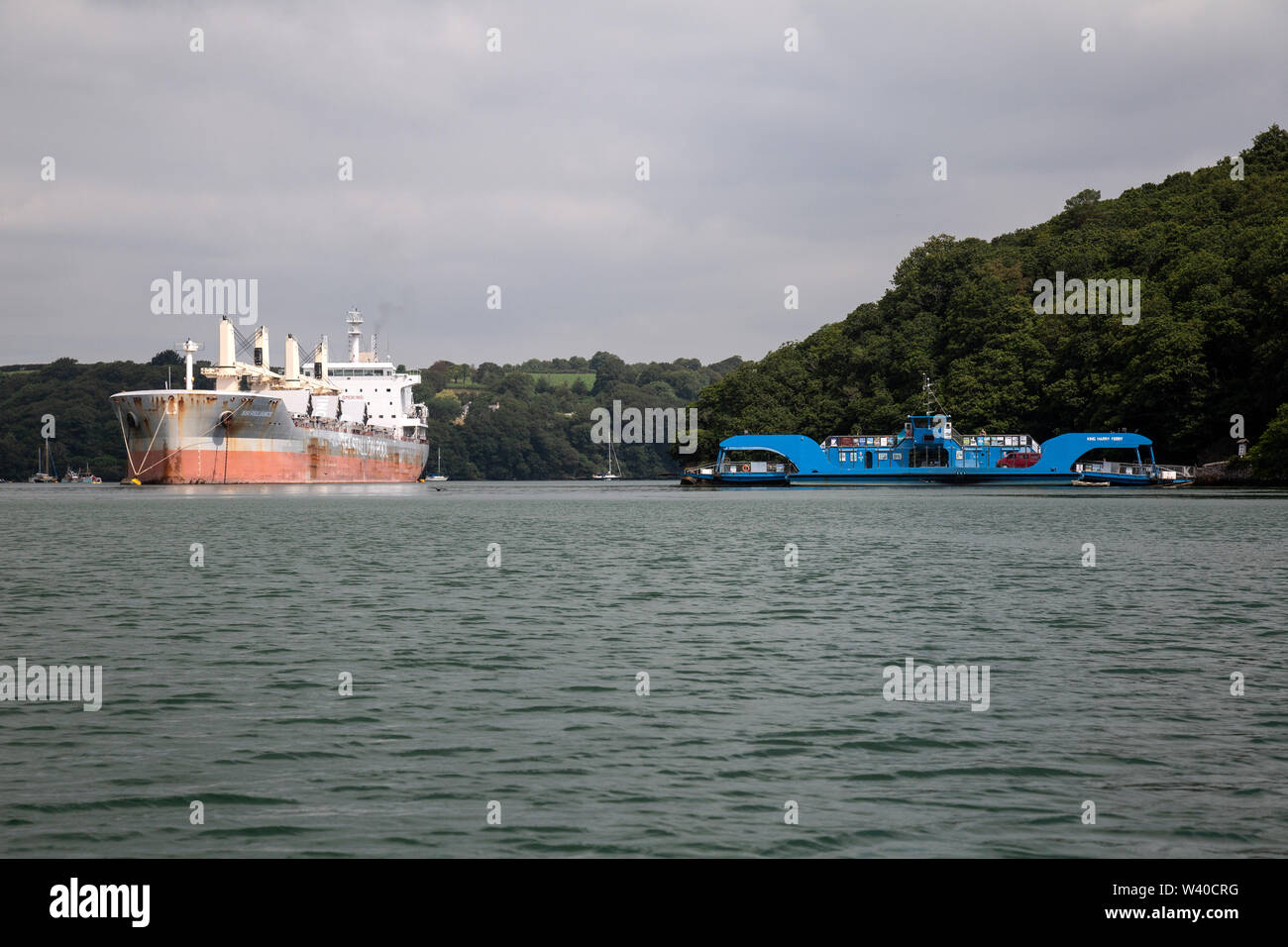 The SSI Reliance Cargo bulk carrier, and the King Harry Chain ferry in ...