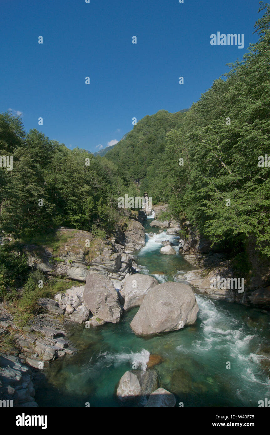 Beautiful view on the Maggia River surrounded by lush green trees in ...