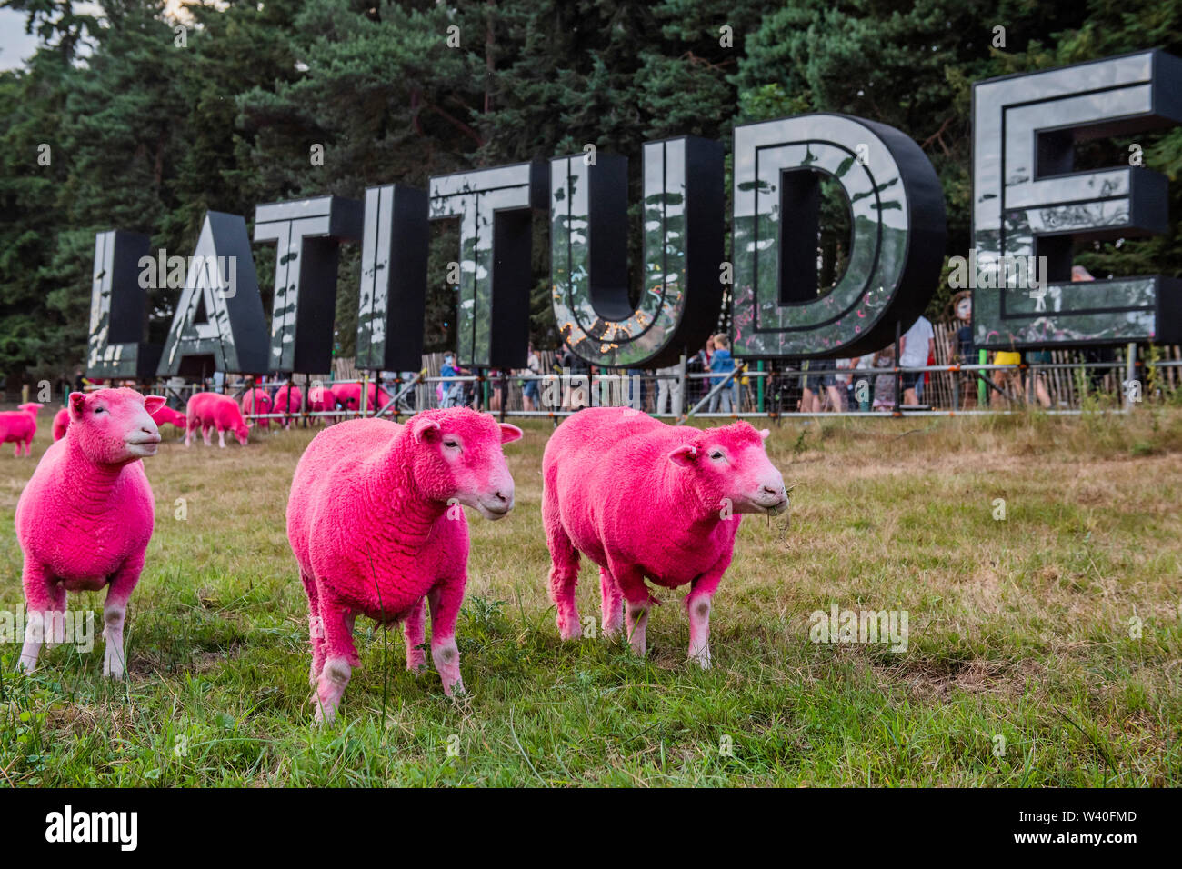 Latitude sheep 2019 hi-res stock photography and images - Alamy