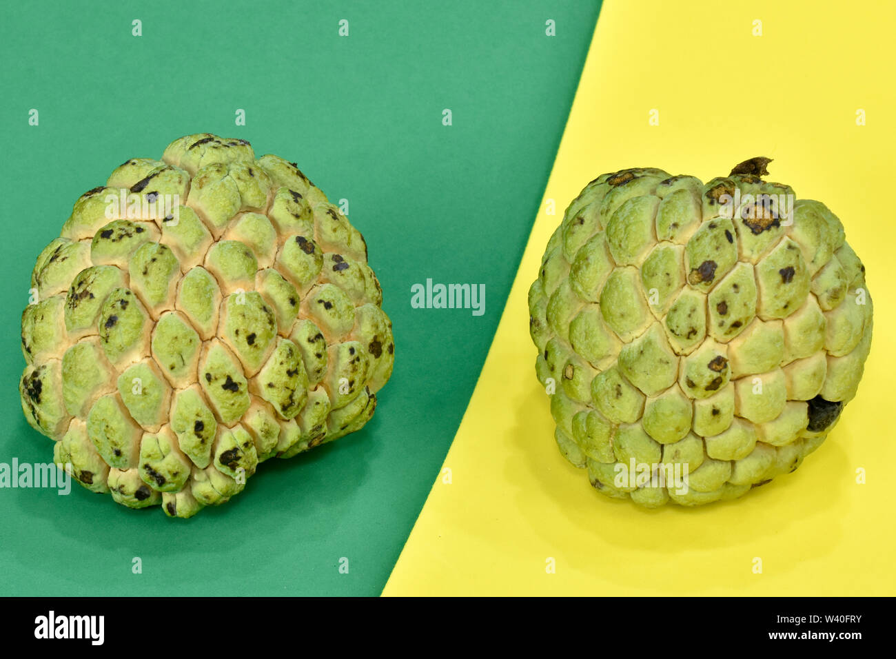 Pinha Stock Photos & Pinha Stock Images - Alamy