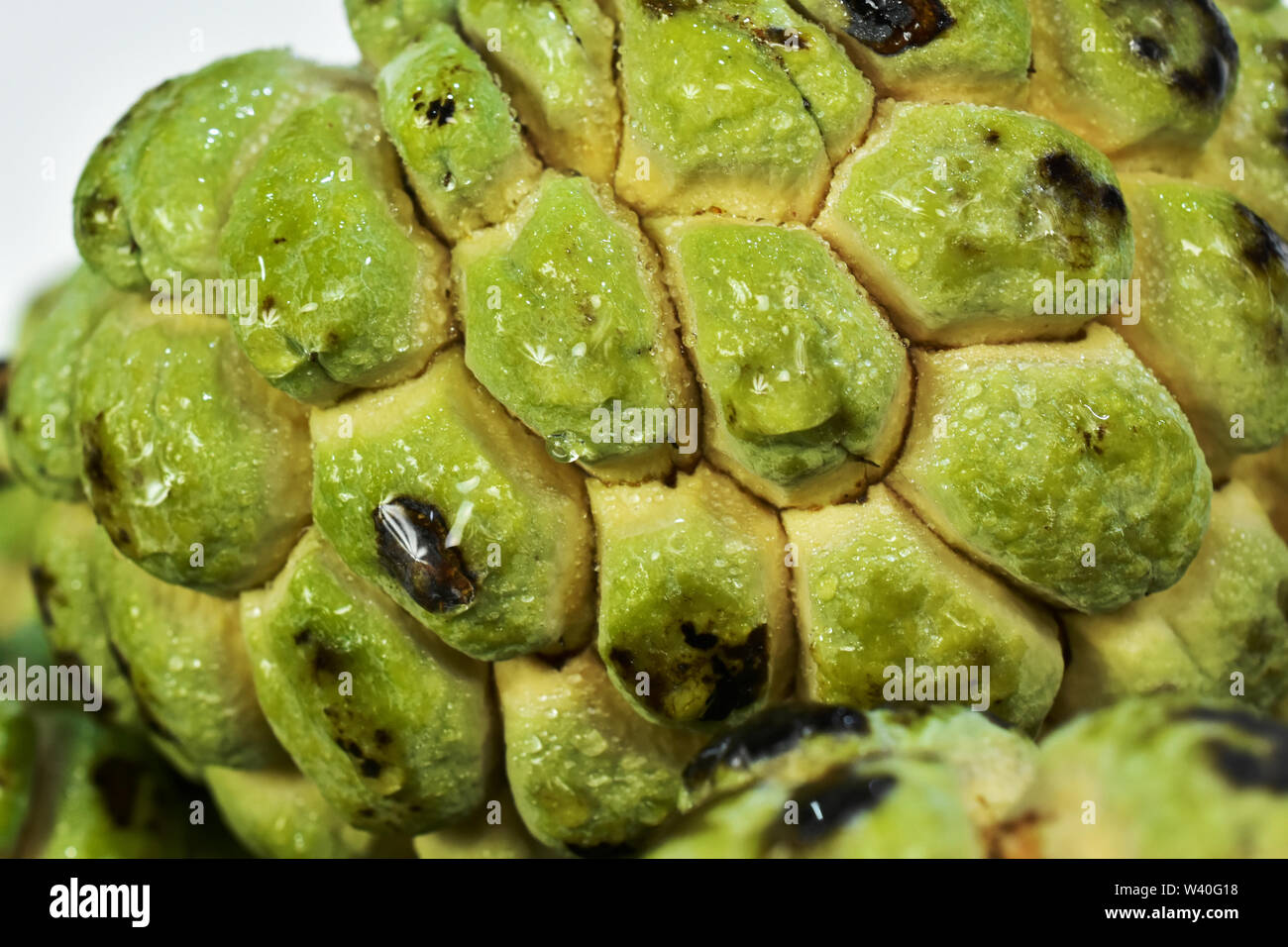 Exotic Brazilian fruit as known as "Fruta do Conde or Fruta Pinha ...