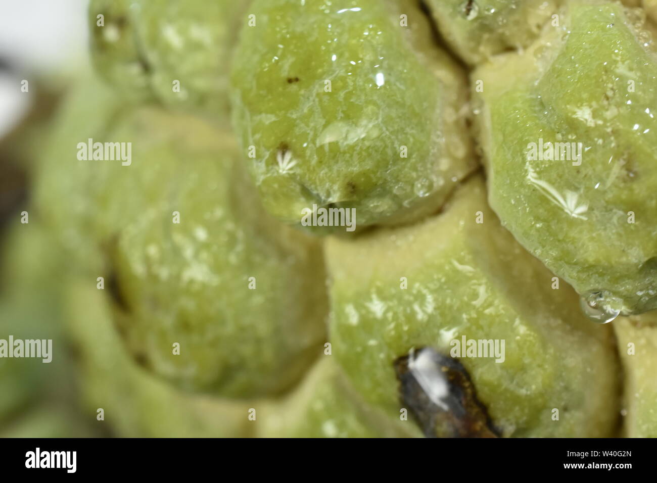 Exotic Brazilian fruit as known as "Fruta do Conde or Fruta Pinha ...