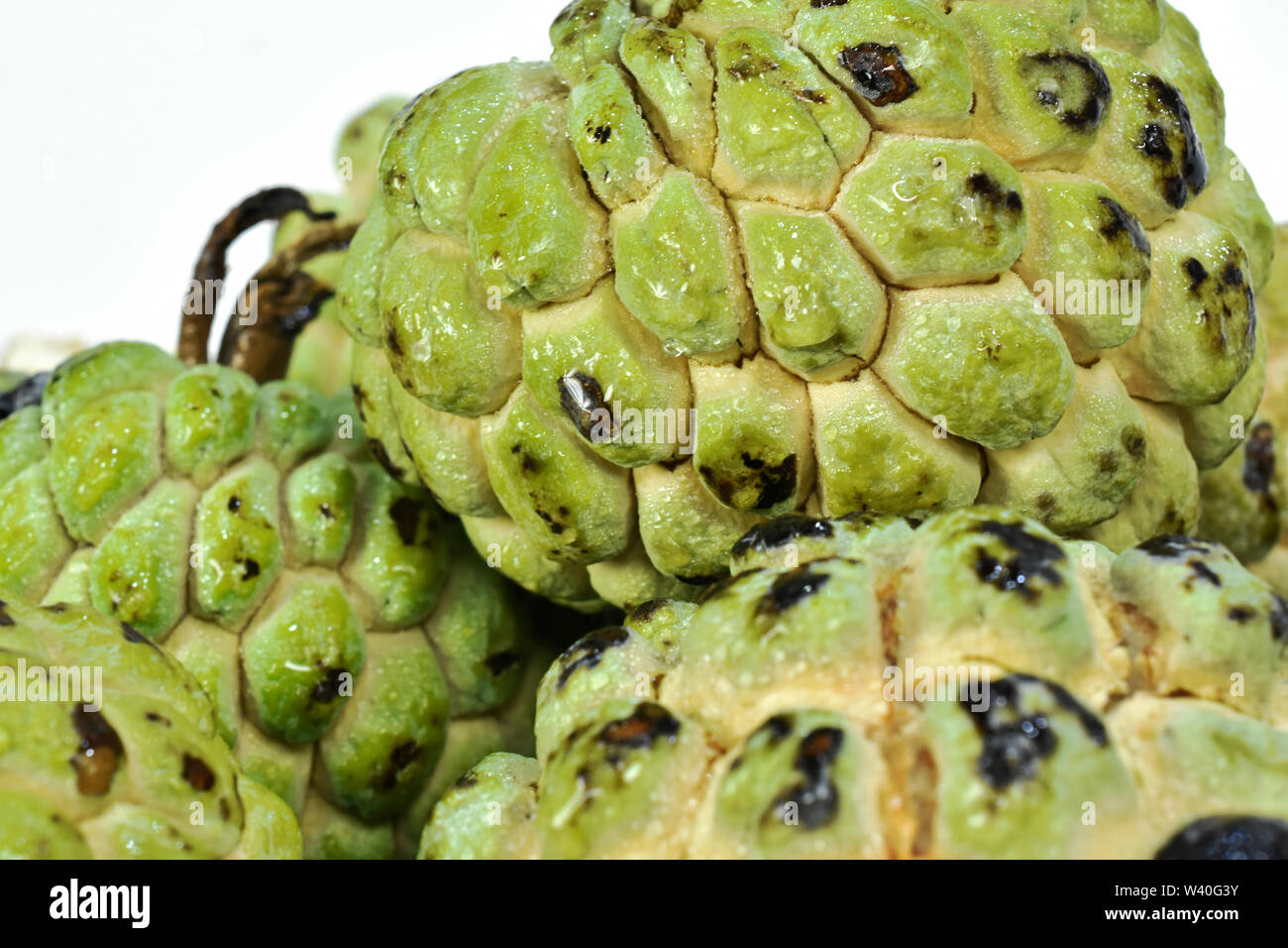 Pinha High Resolution Stock Photography and Images - Alamy