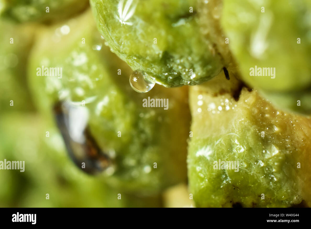 Exotic Brazilian fruit as known as "Fruta do Conde or Fruta Pinha ...