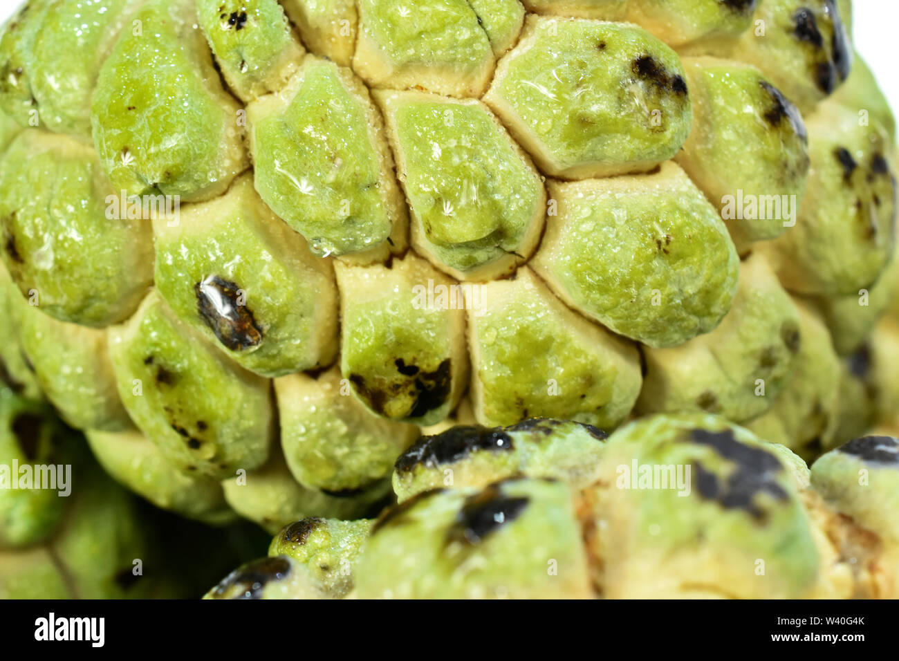 Exotic Brazilian fruit as known as "Fruta do Conde or Fruta Pinha ...