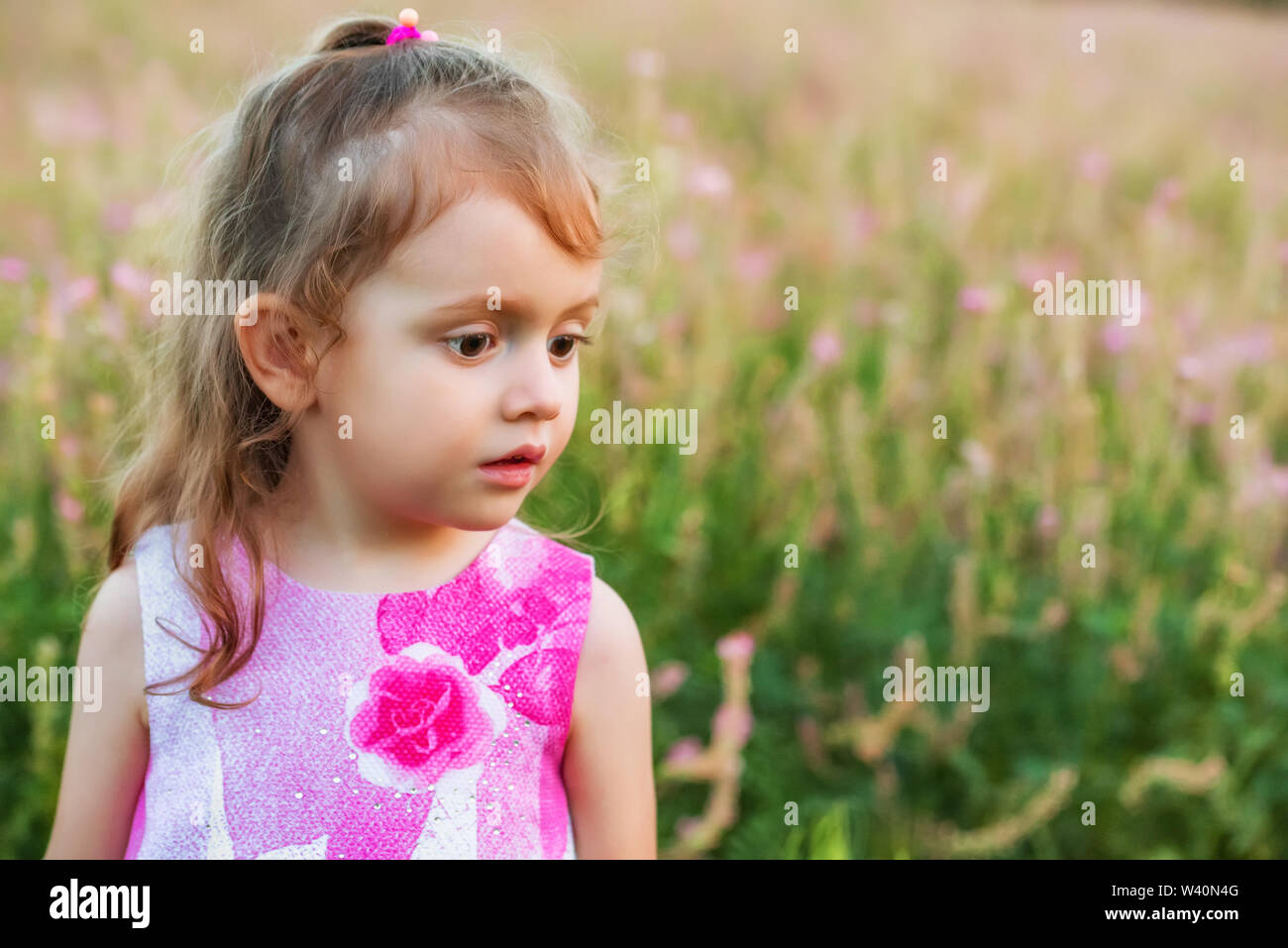 Cute interested baby girl looks aside outdoors in green field. Child ...