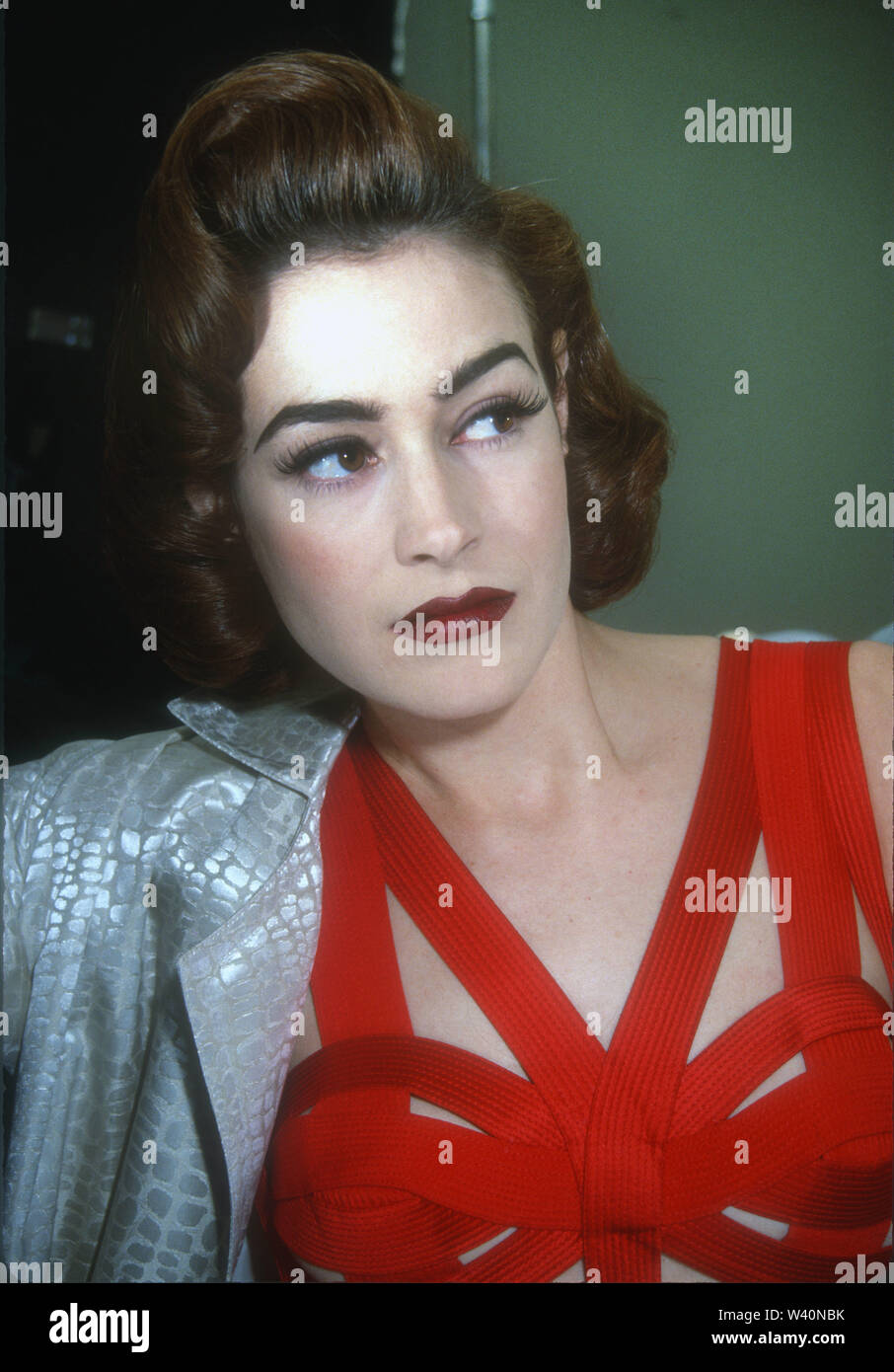 Sean Young 1993 Photo By Michael Ferguson/CelebrityArchaeology.com ...