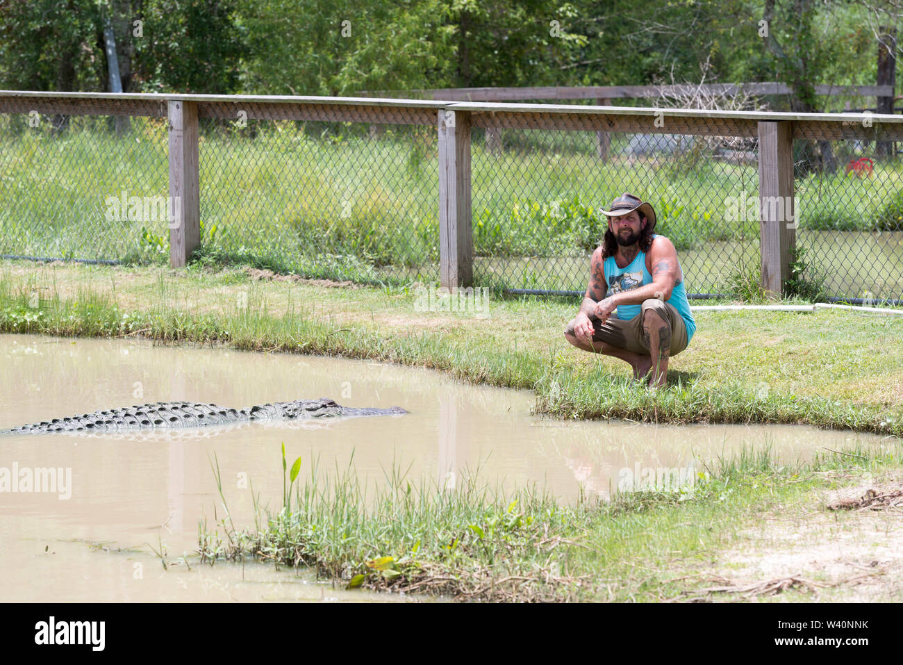 Gator country hi-res stock photography and images - Alamy