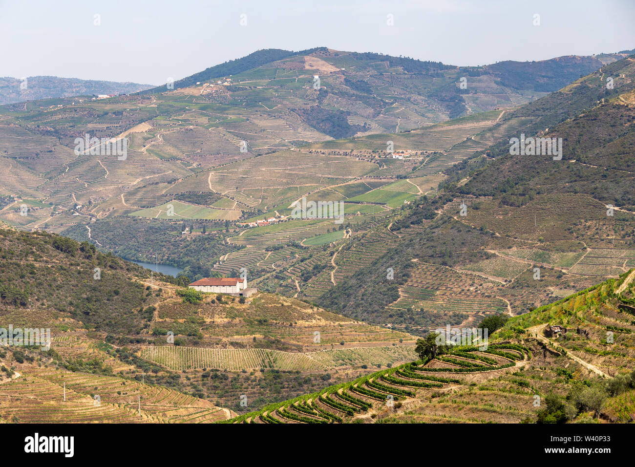 Portugal terraces tua douro valley High Resolution Stock Photography ...