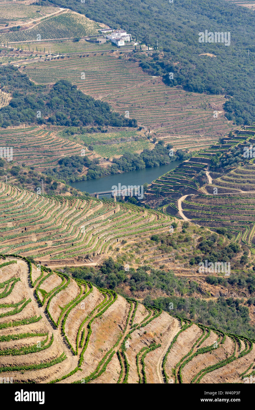 Portugal terraces tua douro valley High Resolution Stock Photography ...