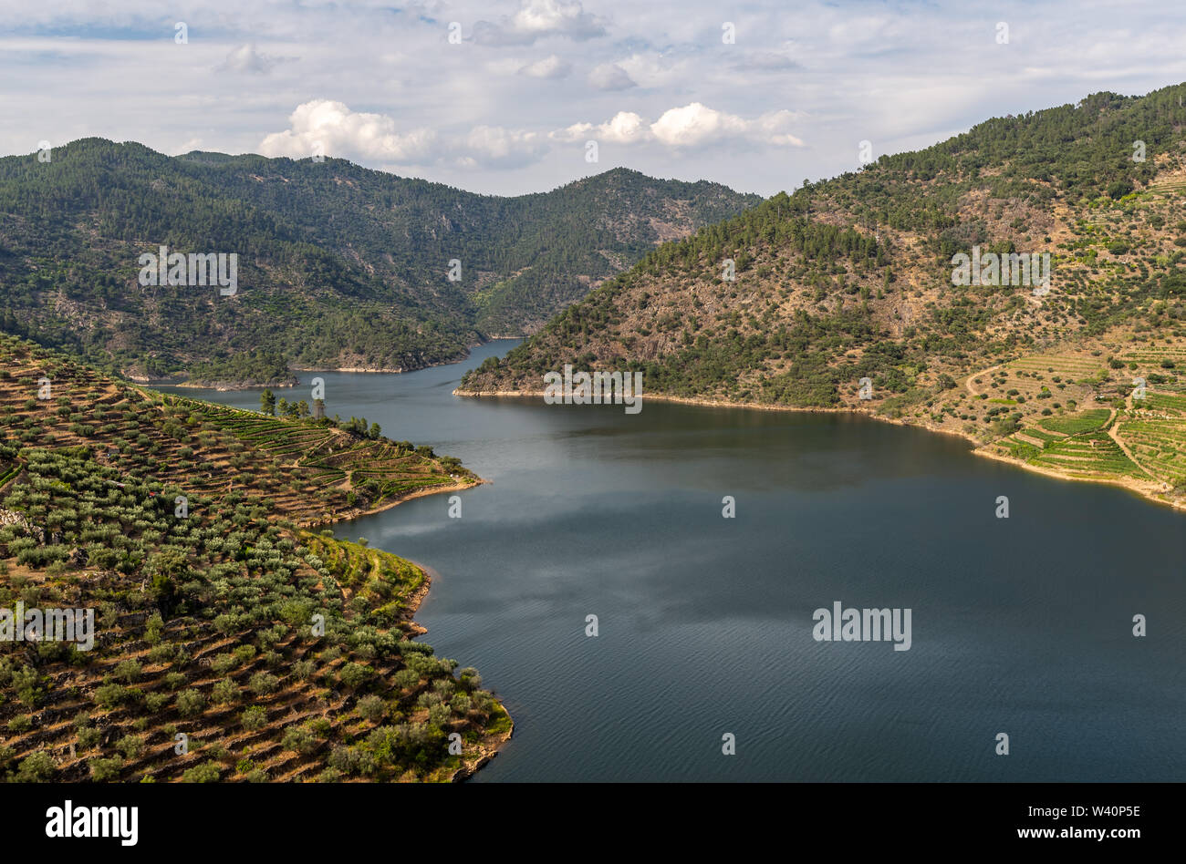 Portugal terraces tua douro valley hi-res stock photography and images ...