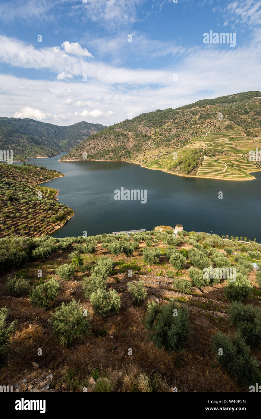 Portugal terraces tua douro valley hi-res stock photography and images ...