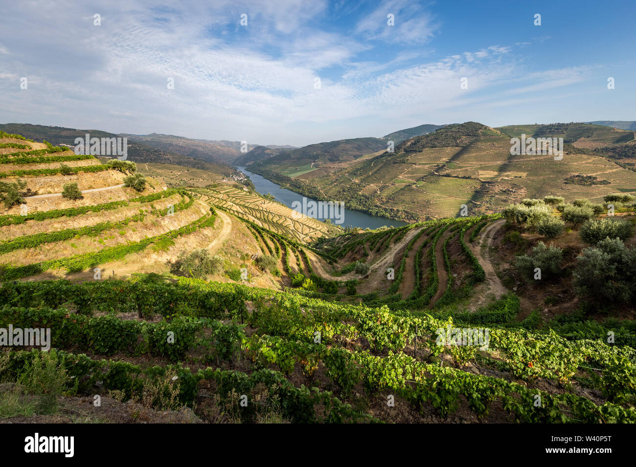 Portugal terraces tua douro valley High Resolution Stock Photography ...