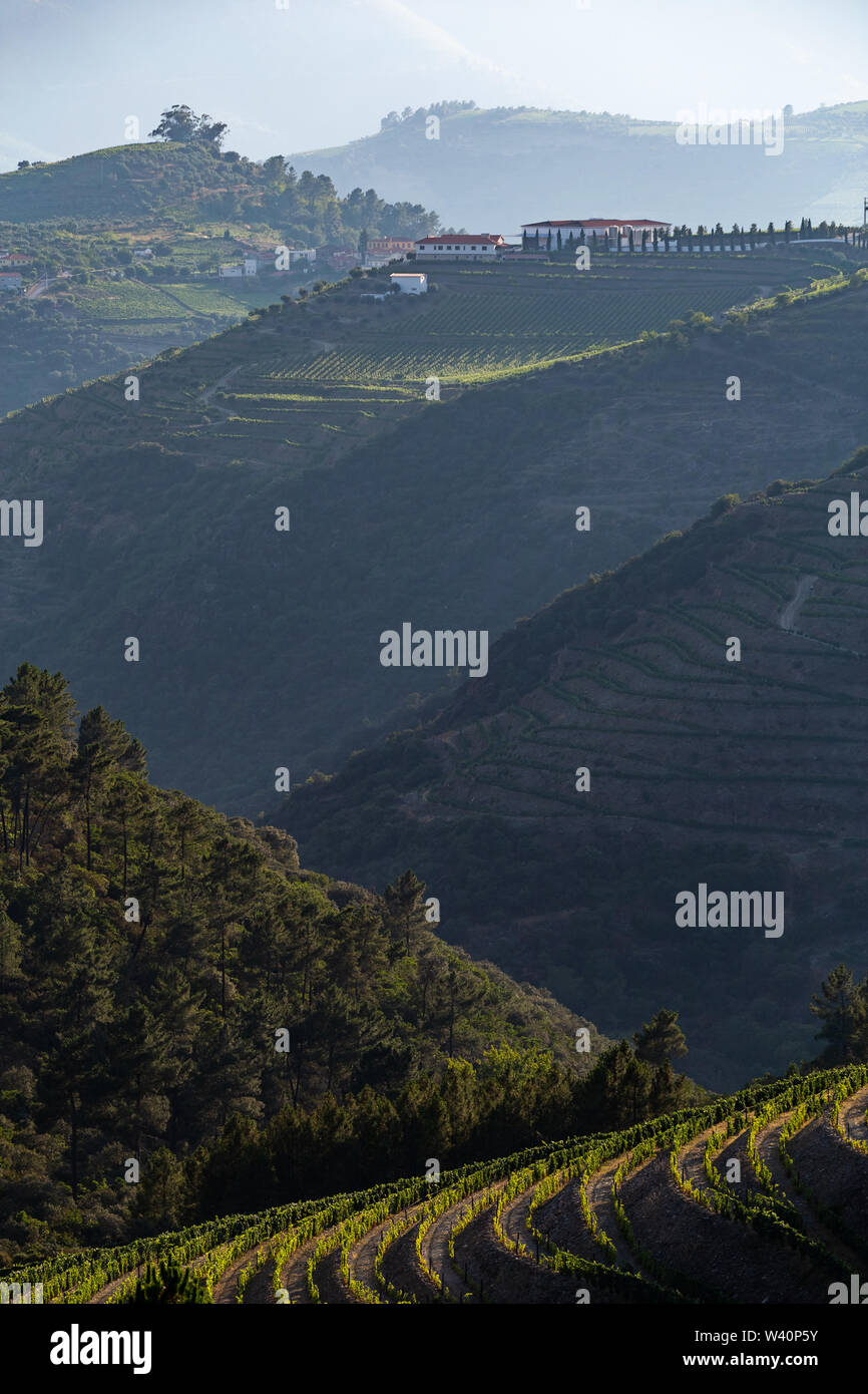 Alto douro hi-res stock photography and images - Alamy