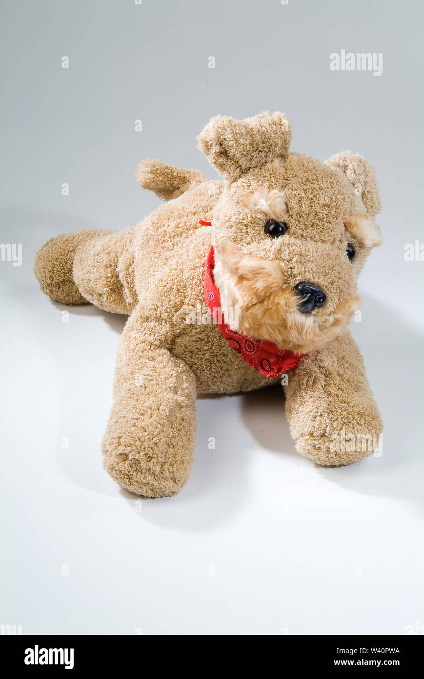 Still life with toy on a studio background Stock Photo - Alamy