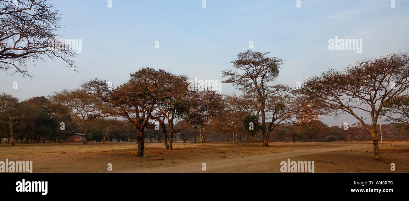 Unique savannah plains landscape at summer day in Bagan, Myanmar Stock ...